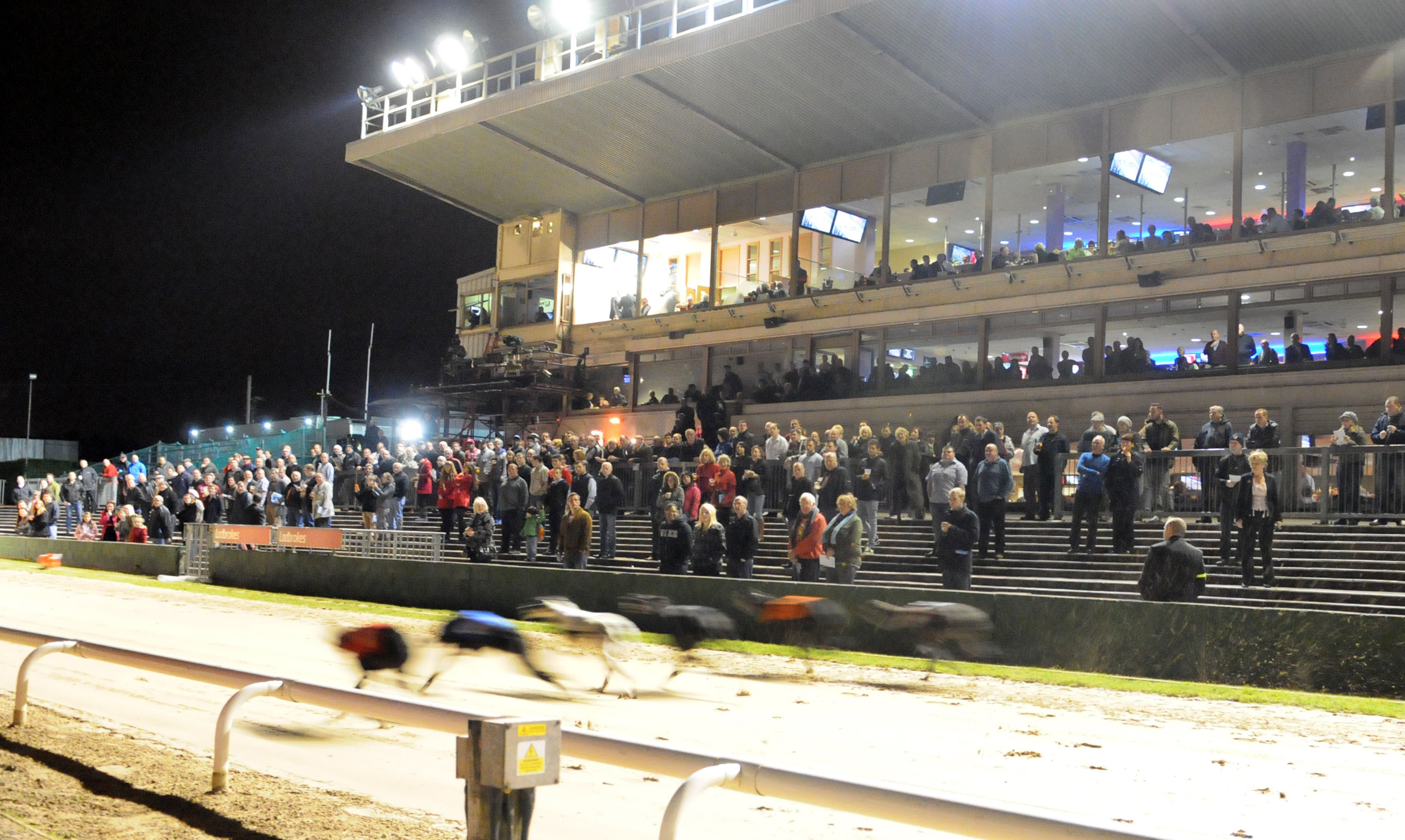 MONMORE PUPPY DERBY FORM - Greyhound Star | News from the Greyhound ...