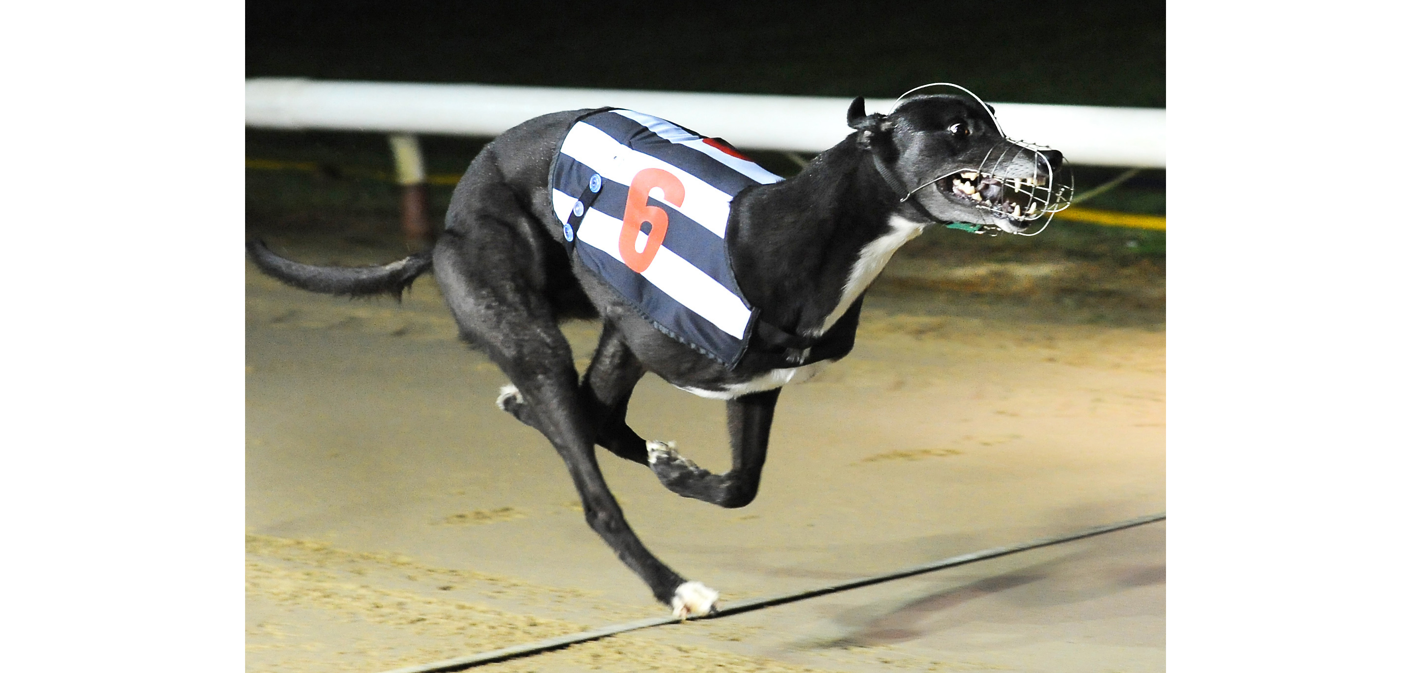 UPDATE: Joe headed home in quickest Henlow sprint (semis draw ...