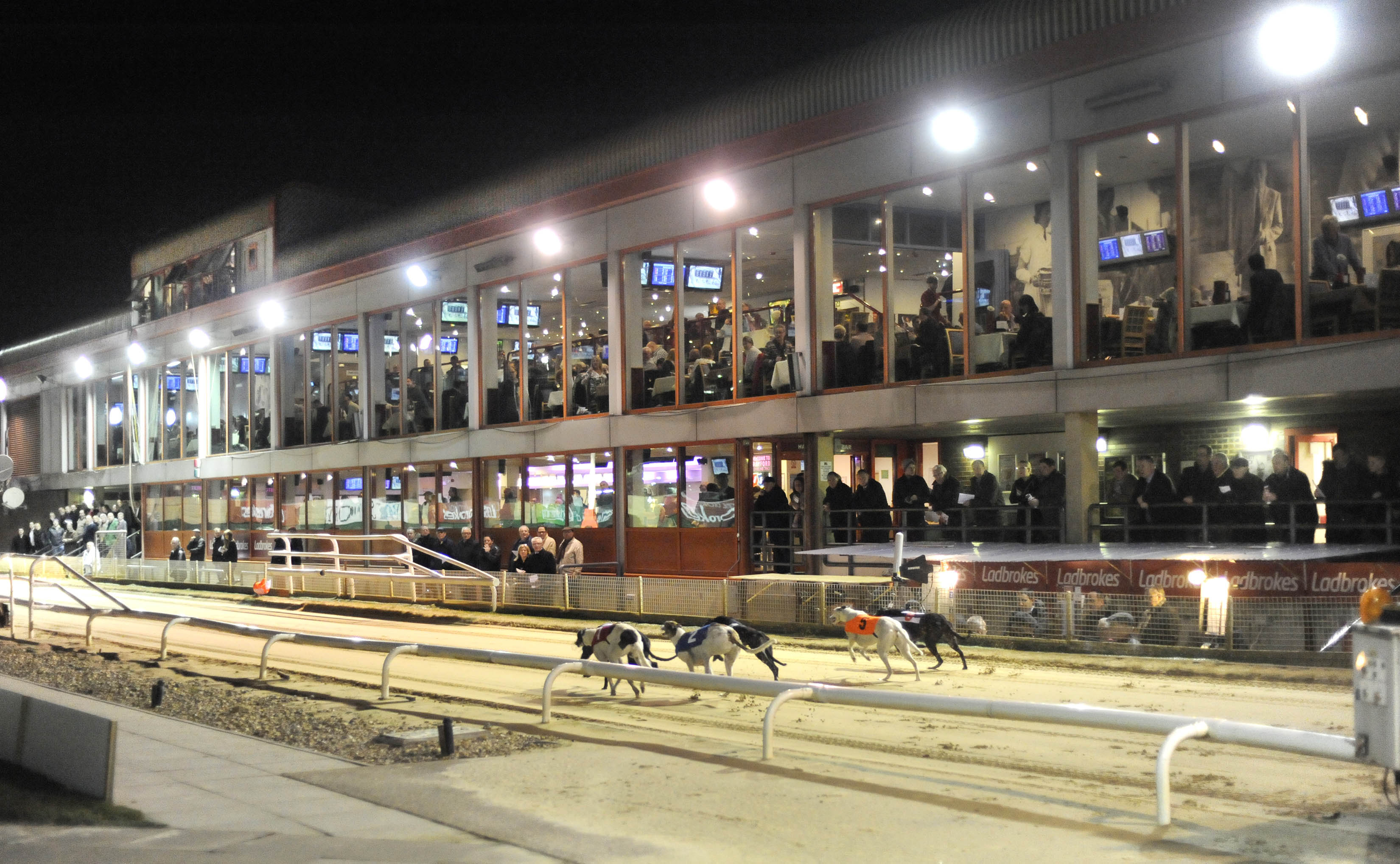 Grand idea from Crayford - Greyhound Star | News from the Greyhound ...