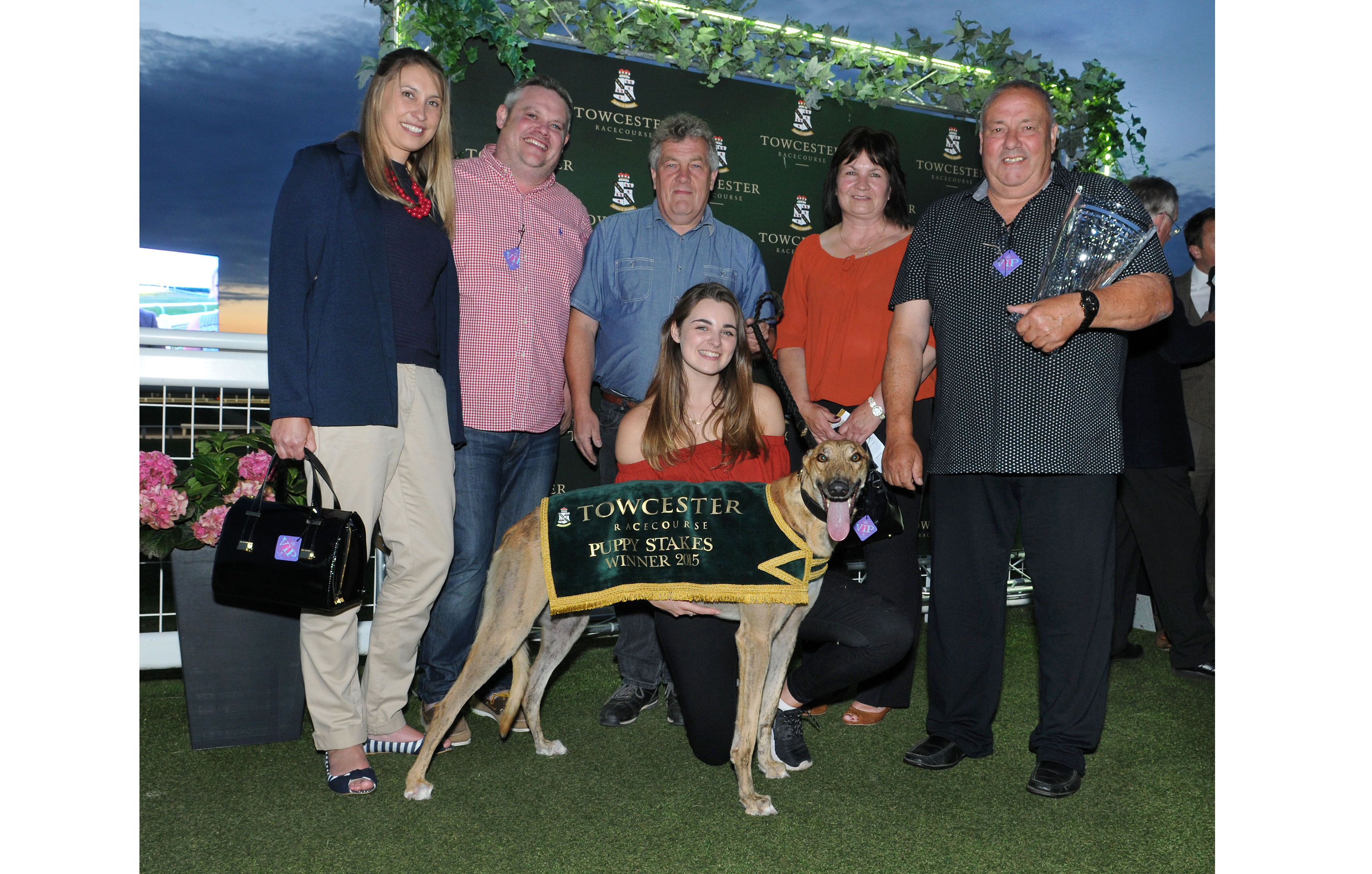 Sheehy shone - Greyhound Star | News from the Greyhound Industry