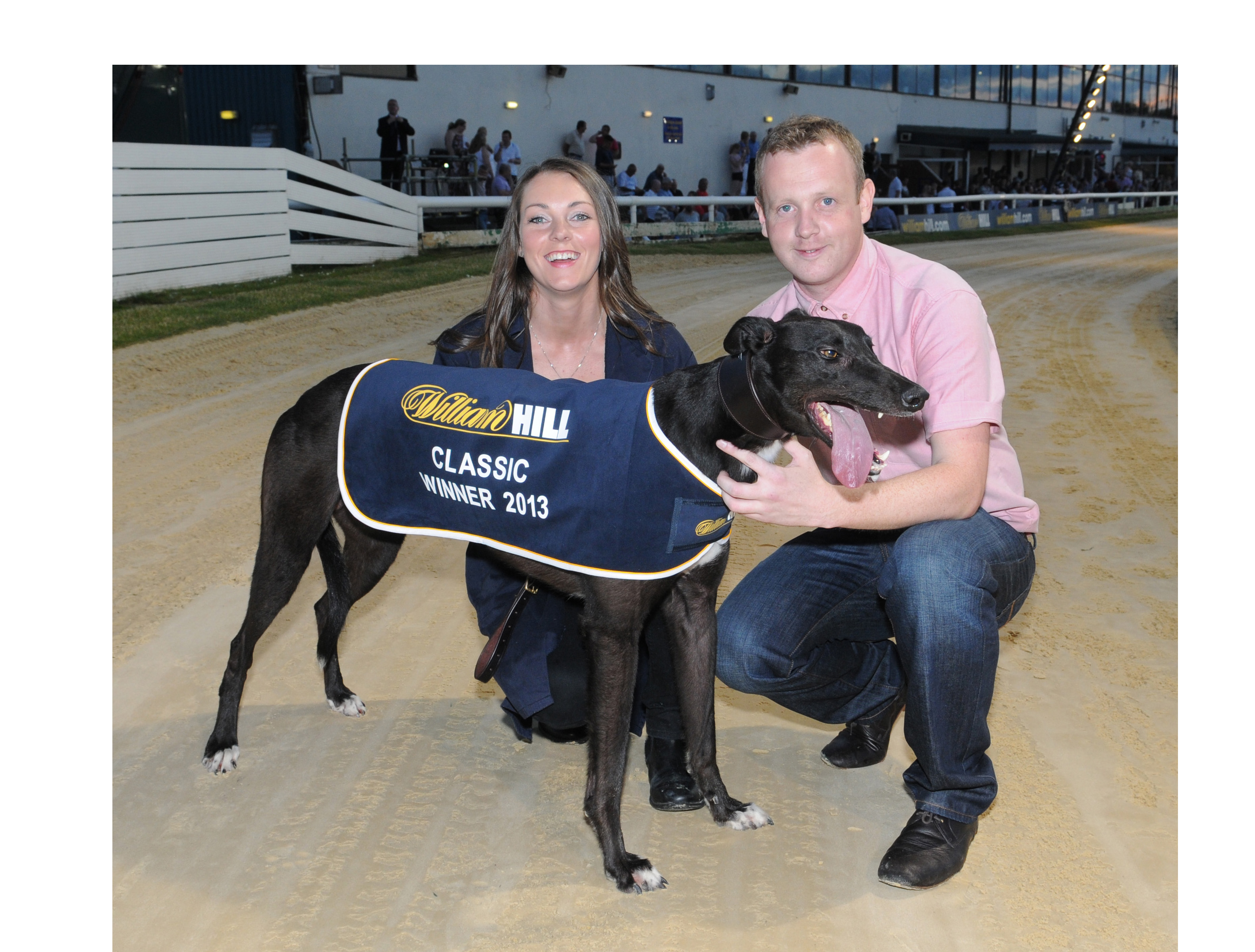 Maxi 9-2 to regain crown - Greyhound Star | News from the Greyhound ...