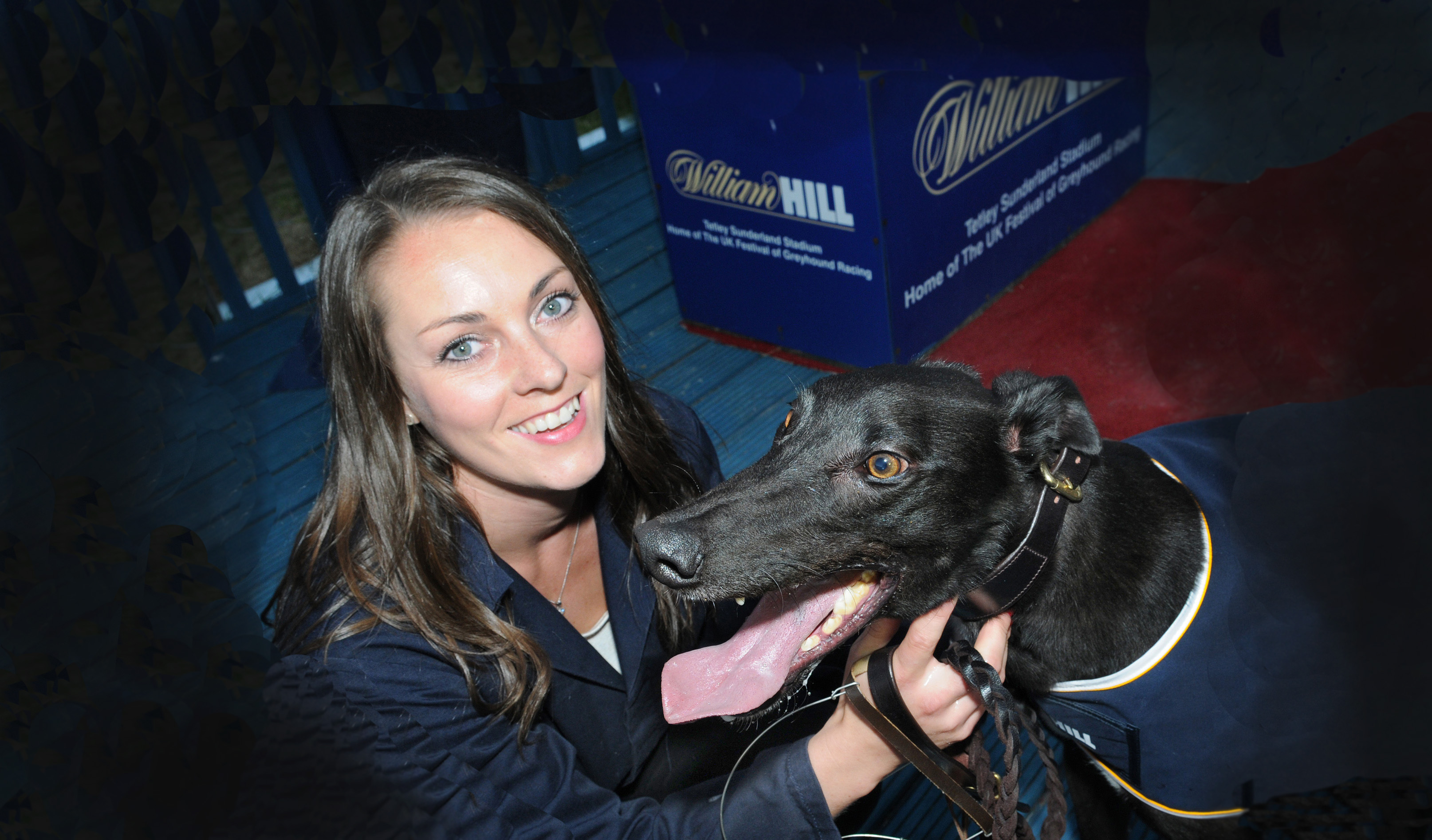 Maxi through operation and on his way home - Greyhound Star | News from ...