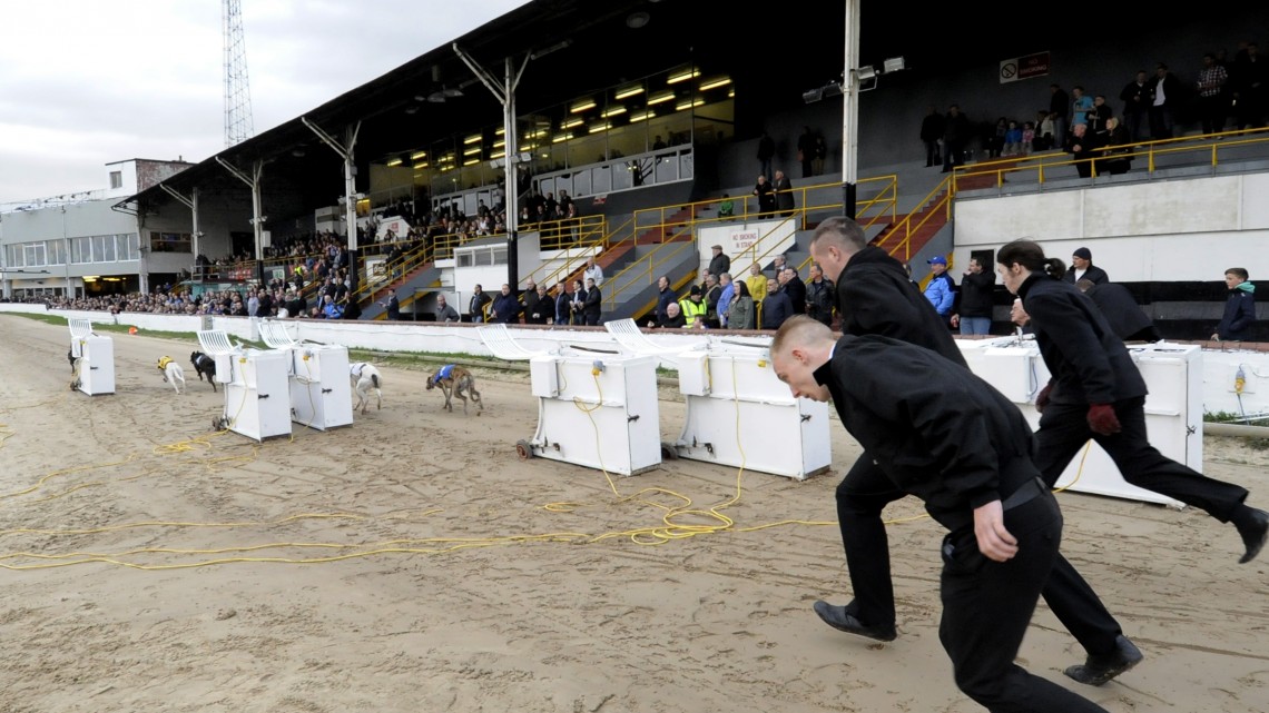 Shawfield hoping for bumper Derby - Greyhound Star | News from the ...