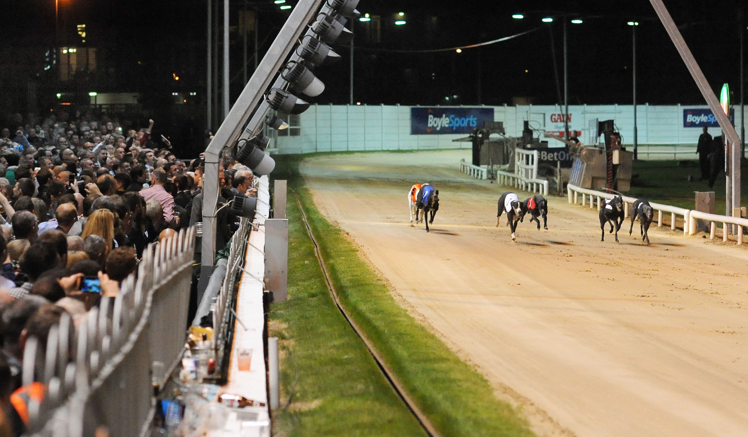 BALLYMAC MATT WINS IRISH DERBY - Greyhound Star | News from the ...