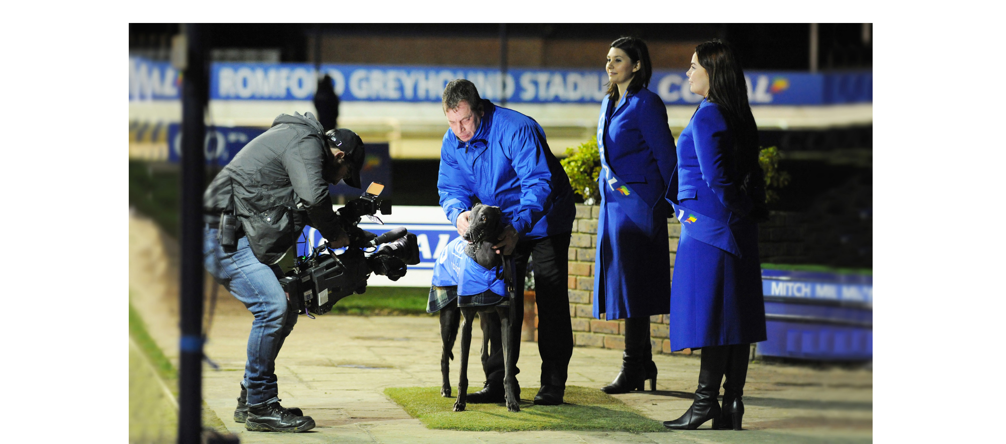 MARK WALLIS - OH WHAT A NIGHT! - Greyhound Star | News from the ...