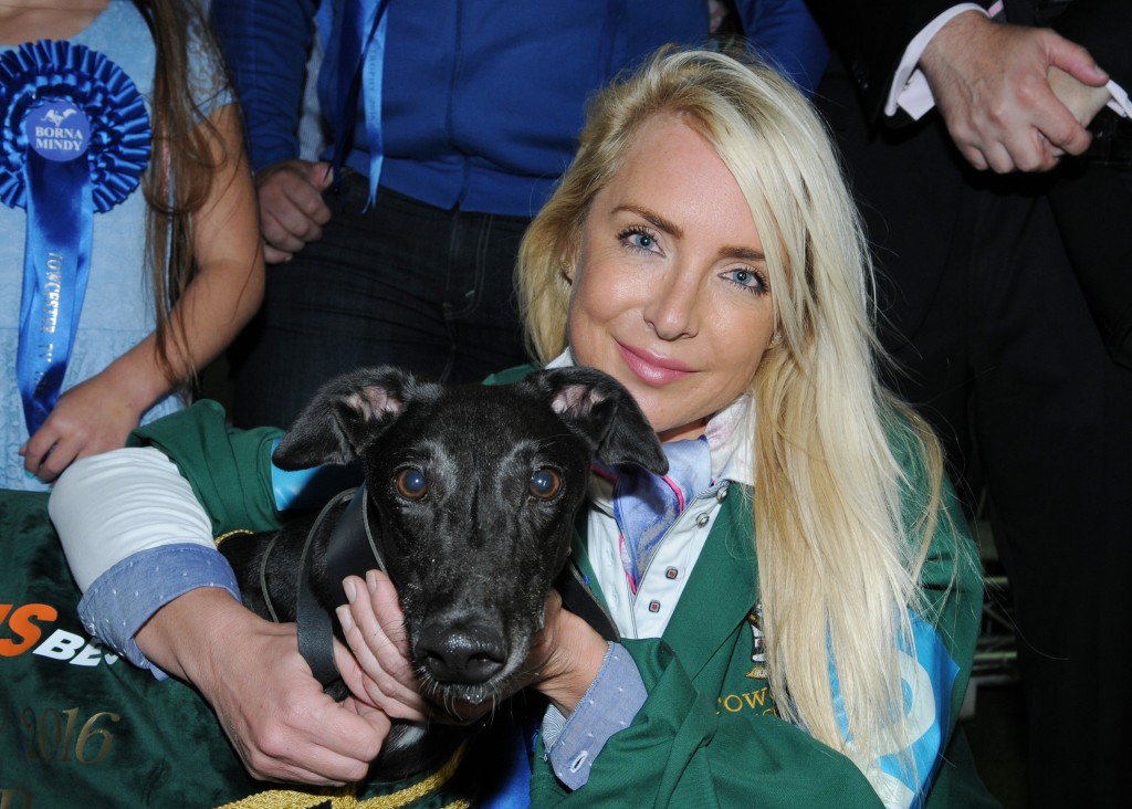 MINDY THE TV STAR - Greyhound Star | News from the Greyhound Industry