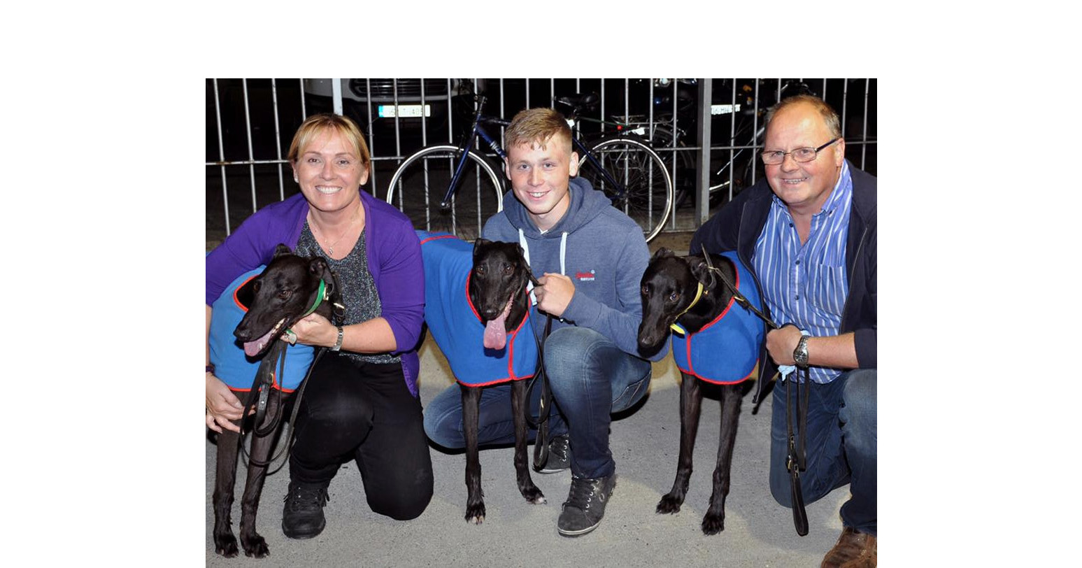 GRAHAM HOLLAND: I GET TO WALK A DOG AT LAST - Greyhound Star | News ...