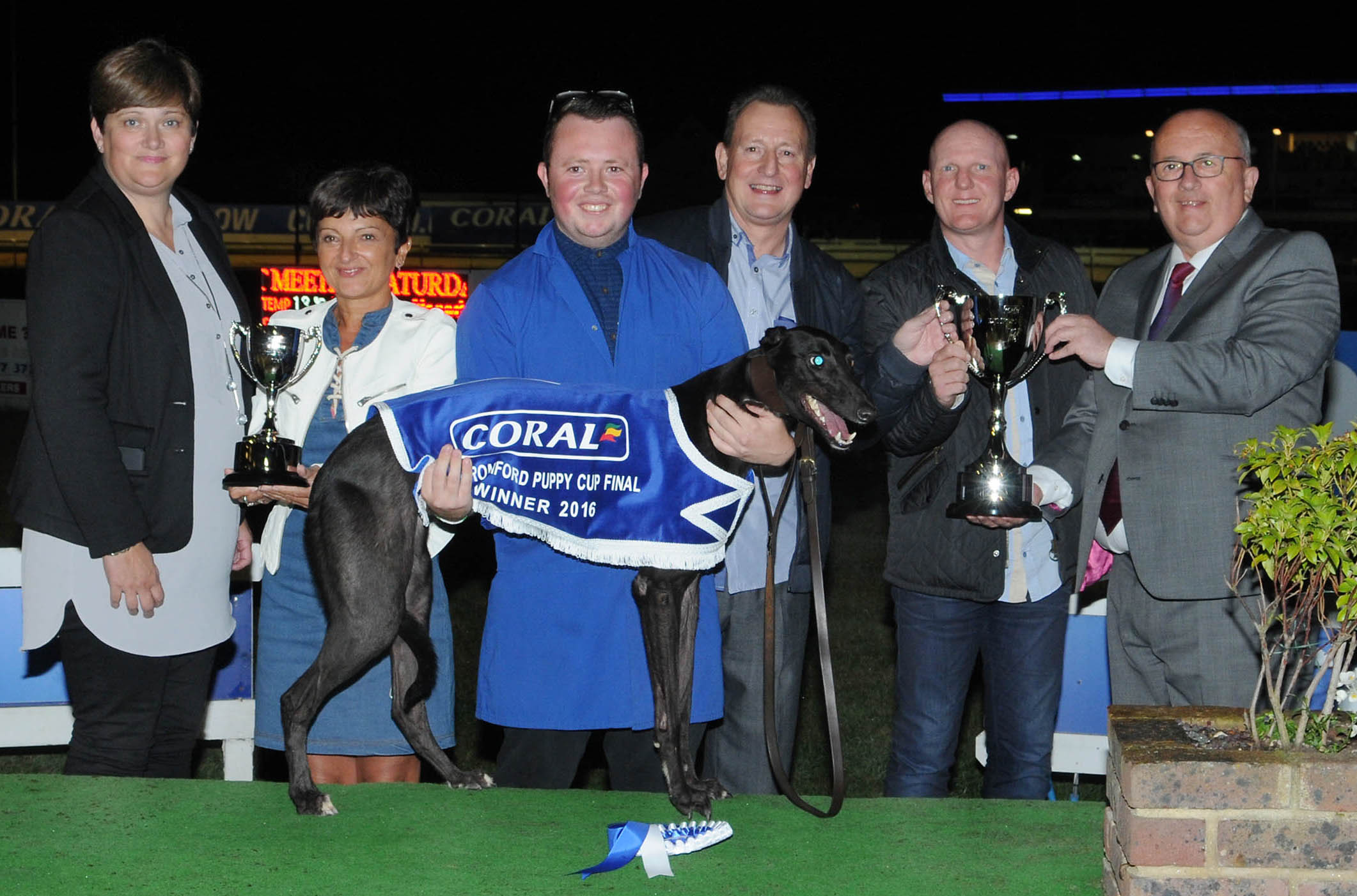 Klammer Slammer - Greyhound Star | News from the Greyhound Industry