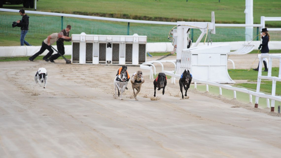 INVITATION RACE TO LAUNCH NEW ERA AT TOWCESTER - Greyhound Star | News ...