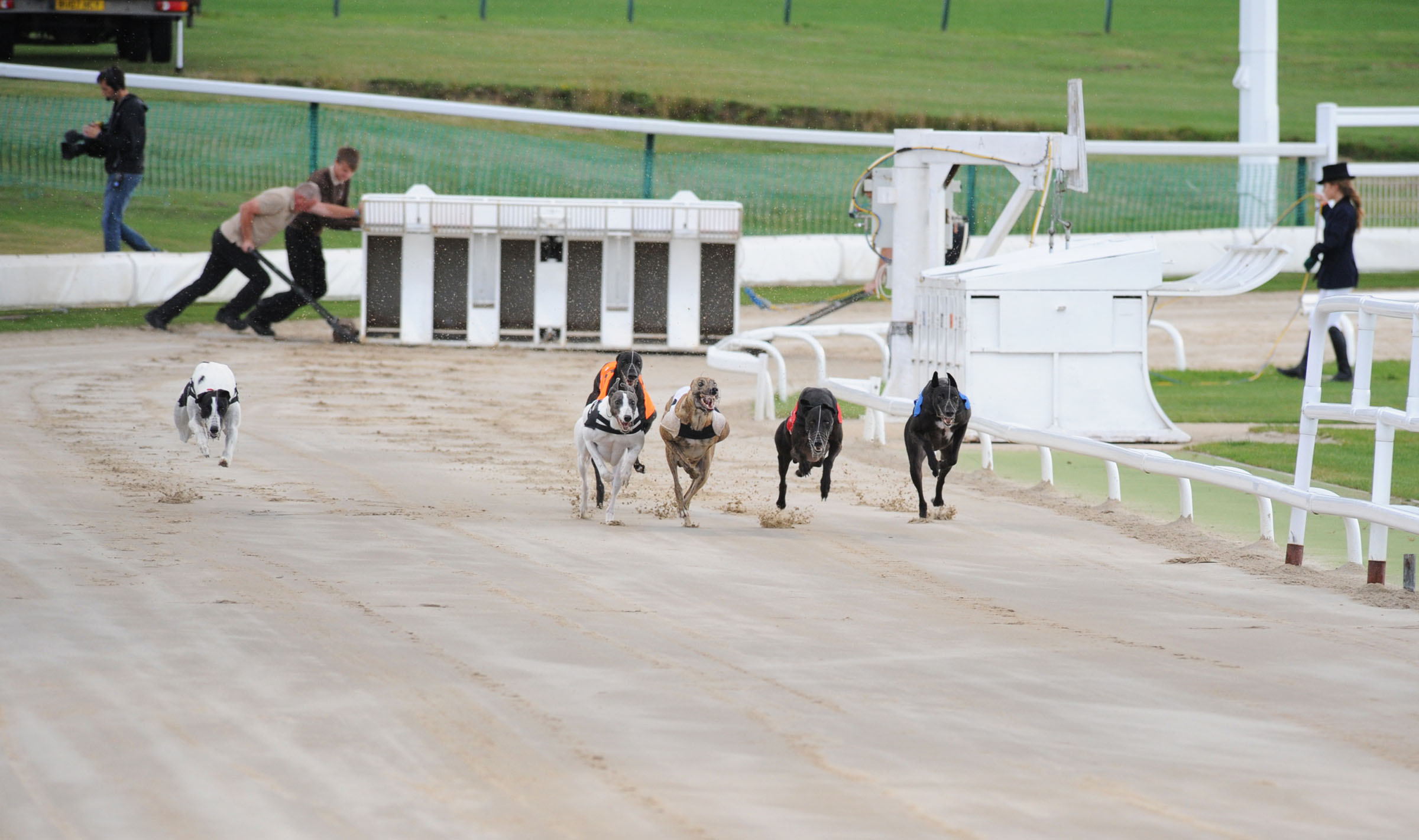 INVITATION RACE TO LAUNCH NEW ERA AT TOWCESTER - Greyhound Star | News ...