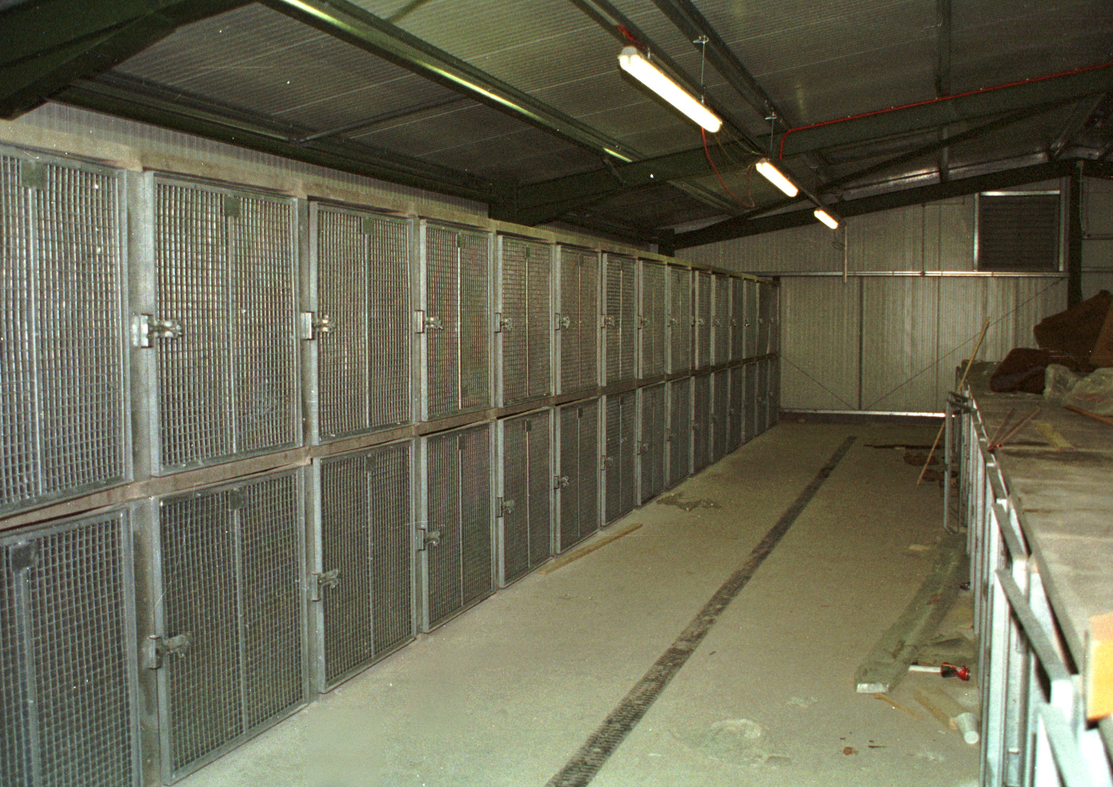 REMEMBER WHEN: FEBRUARY - Greyhound Star | News from the Greyhound Industry