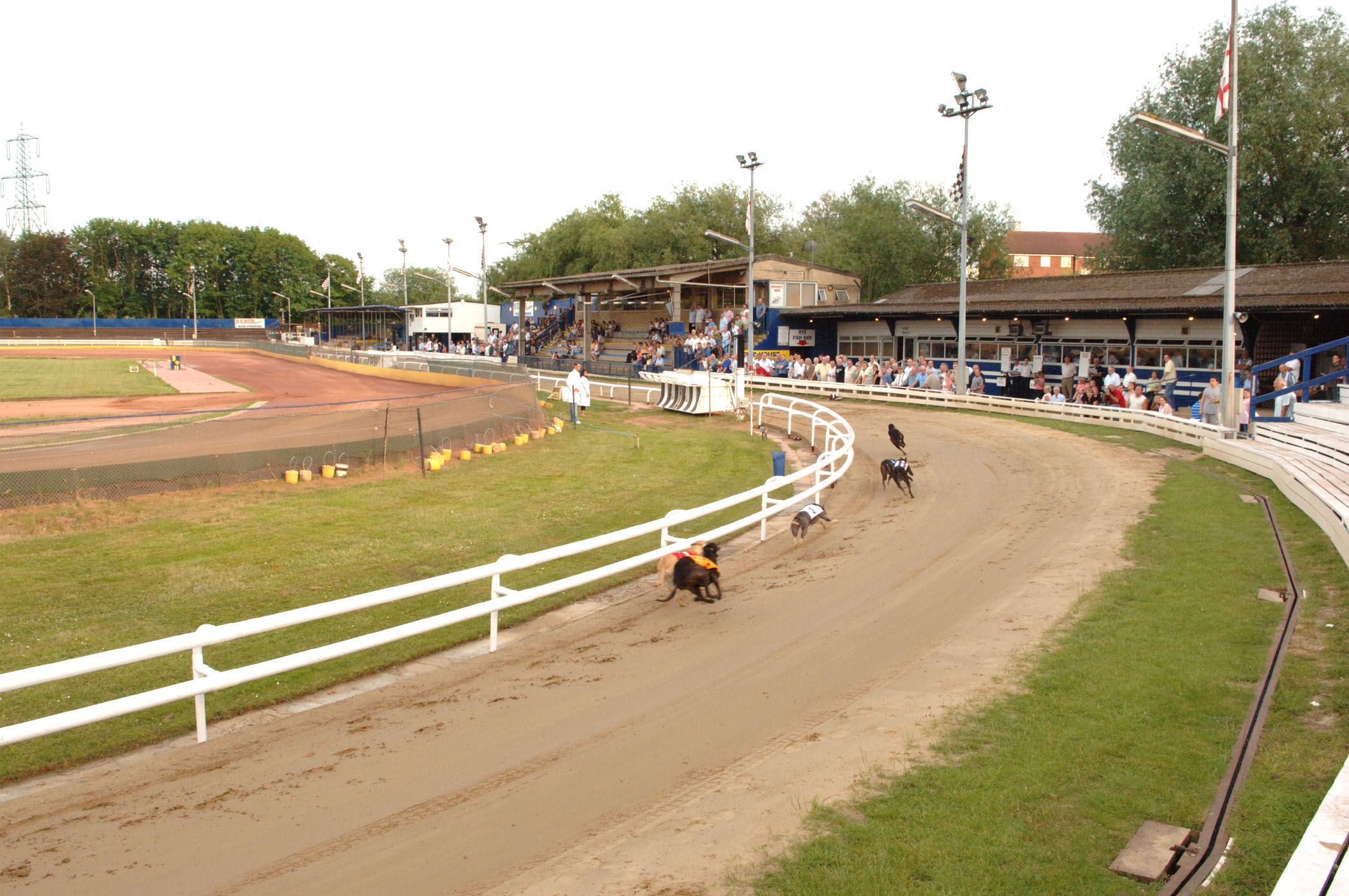 REMEMBER WHEN: FEBRUARY - Greyhound Star | News from the Greyhound Industry