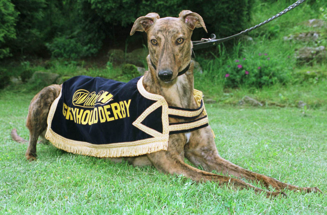 REMEMBER WHEN: MAY II - Greyhound Star | News from the Greyhound Industry