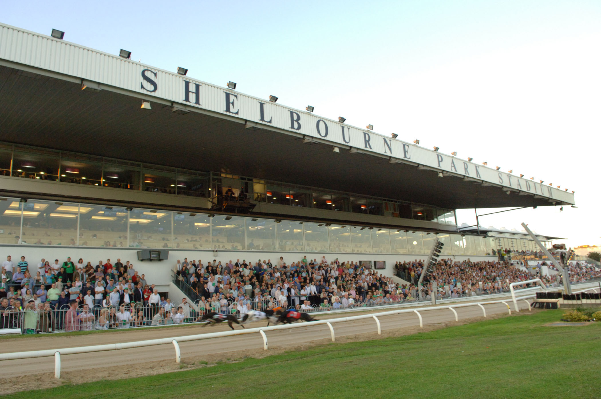 SHELBOURNE PARK TO RE-OPEN ON TUESDAY - Greyhound Star | News from the ...