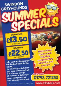 BALLYOAK PETAL - Greyhound Star | News from the Greyhound Industry