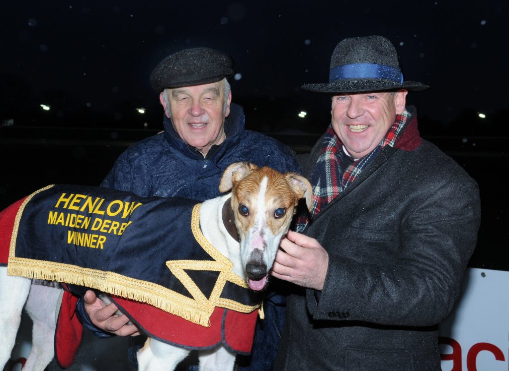BULL BOLTED UP AT HENLOW - Greyhound Star | News from the Greyhound ...