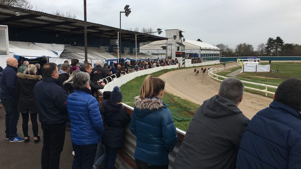 HENLOW MAKE BETTING SHOP DEBUT - Greyhound Star | News from the ...
