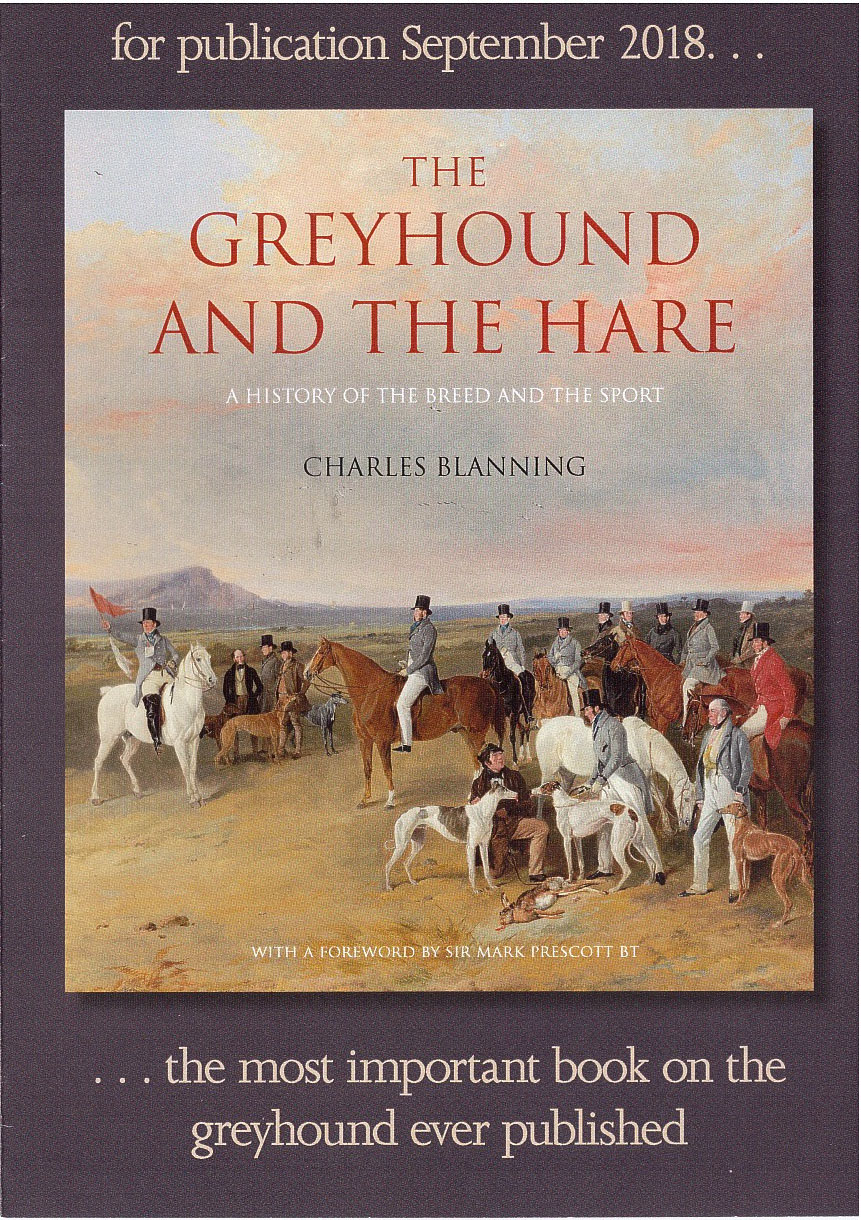 GREYHOUND AND THE HARE - A SPECTACULAR TRIBUTE TO COURSING - Greyhound ...