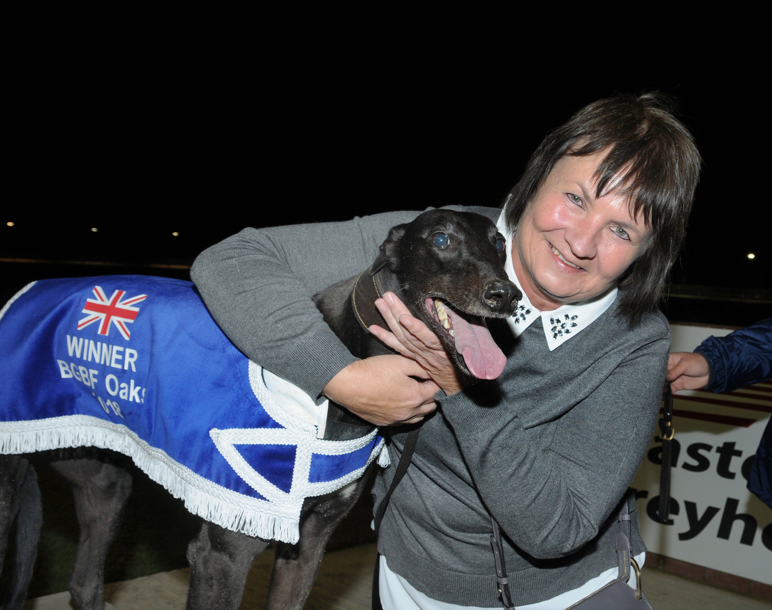 BRITISH BRITISH BRITISH BRED TESS GETS TEA CUP - Greyhound Star | News ...