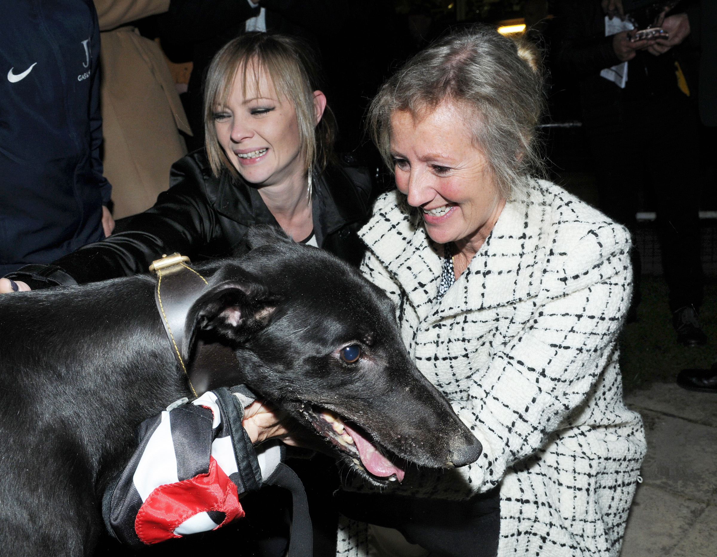 LEGER DATES REVEALED - PERRY BARR NEWSLETTER - Greyhound Star | News ...