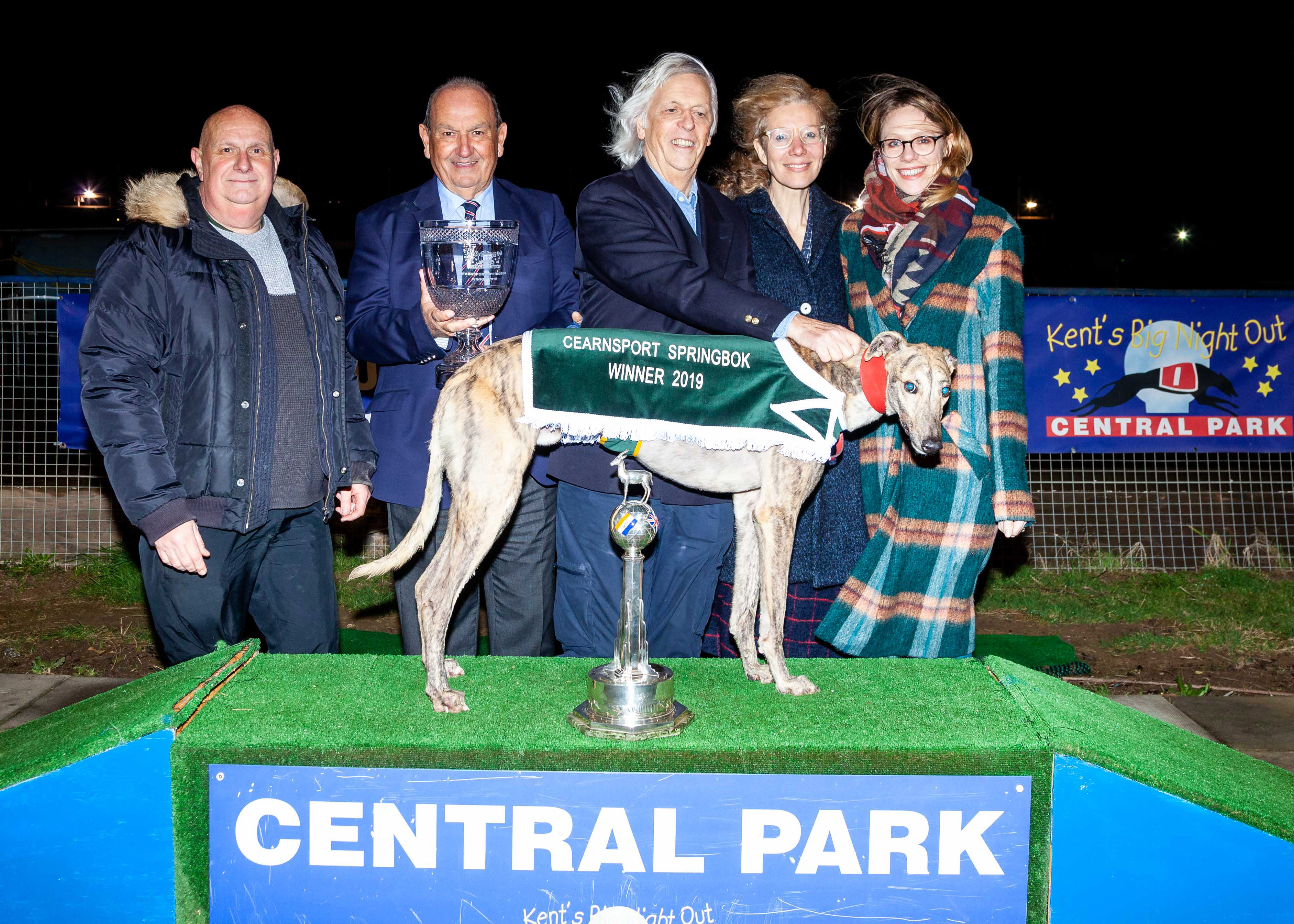 BRANDY FOR THE HEART - Greyhound Star | News from the Greyhound Industry