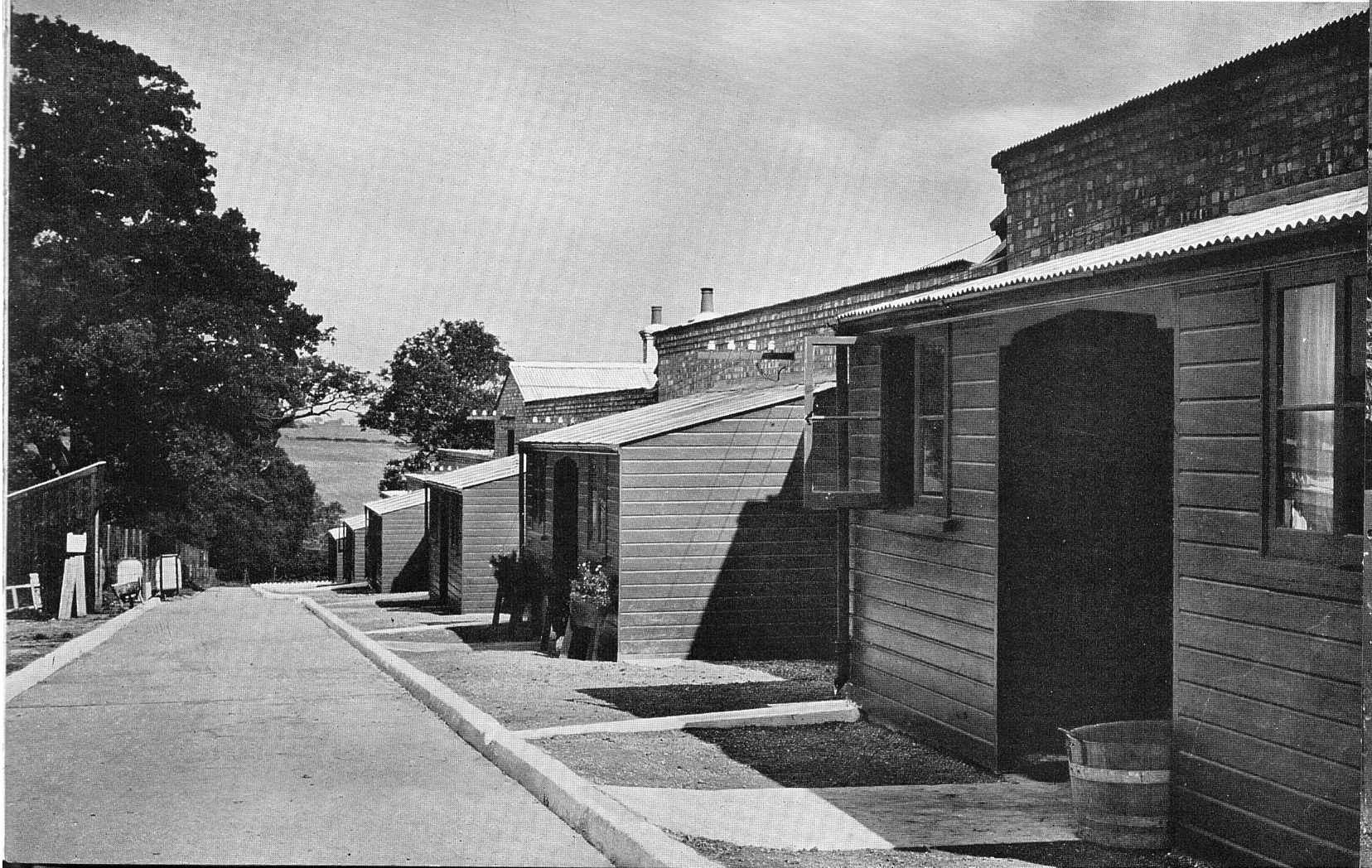 REMEMBER WHEN: NORTHAW SPECIAL - BY FLOYD AMPHLETT - Greyhound Star ...