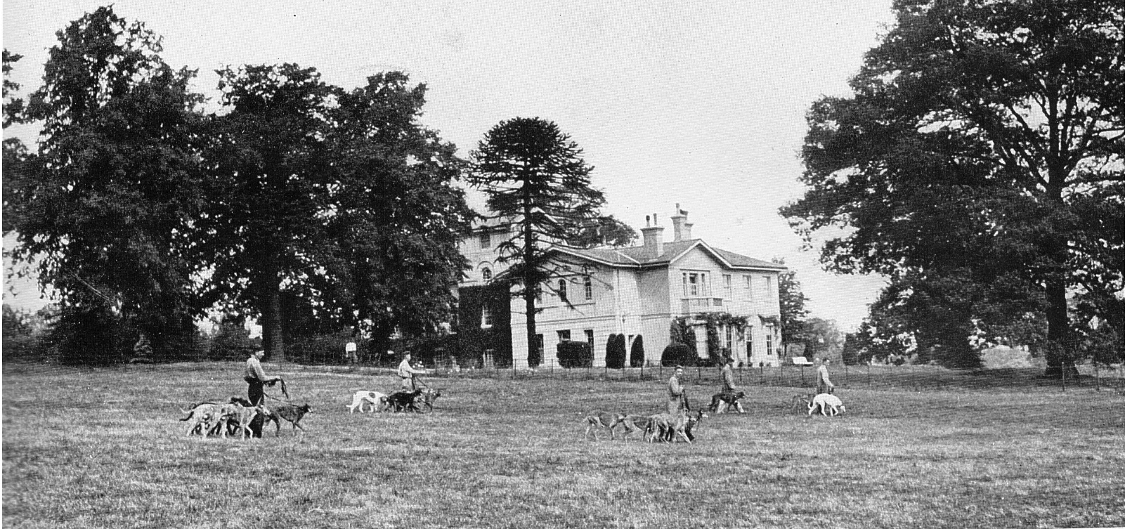 REMEMBER WHEN: NORTHAW SPECIAL - BY FLOYD AMPHLETT - Greyhound Star ...