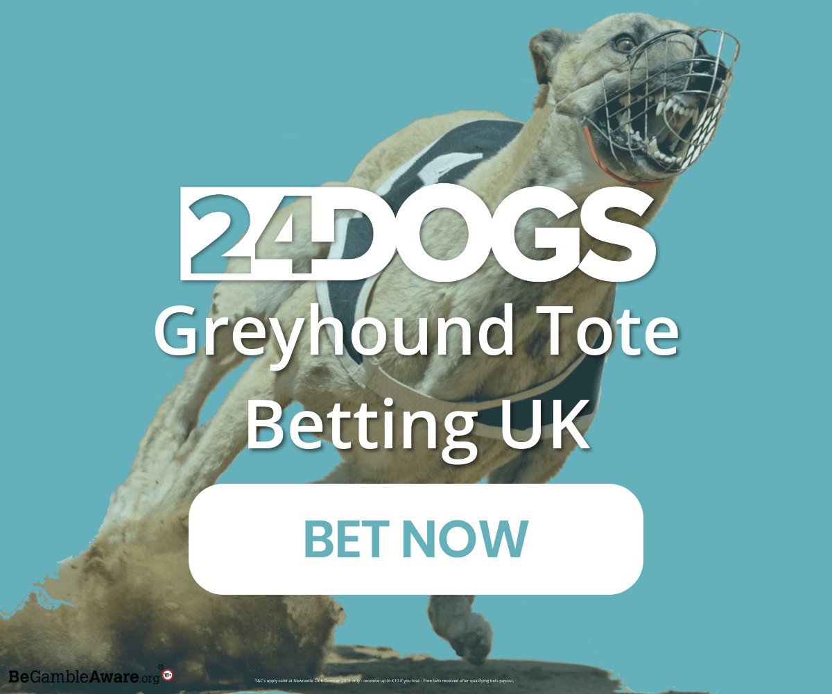 BRITS AND PUPS ON SHOW AT SHEFFIELD (WITH FULL FORM) - Greyhound Star ...