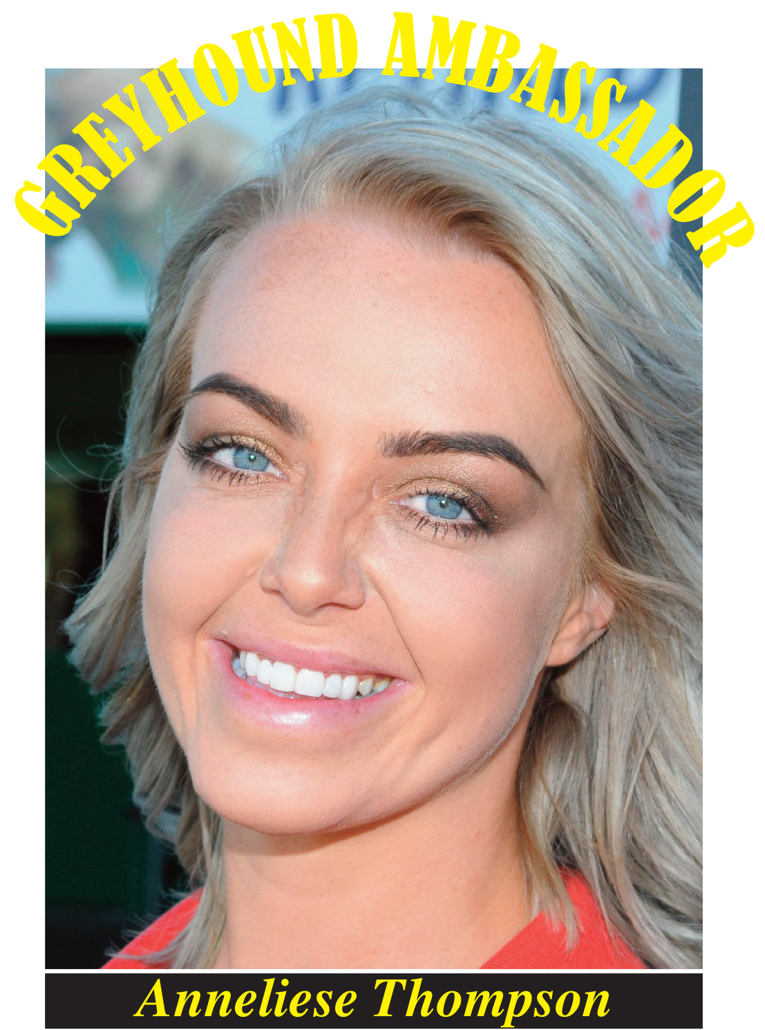 GREYHOUND AMBASSADOR BLOG: ANNELIESE THOMPSON - Greyhound Star | News from the Greyhound Industry