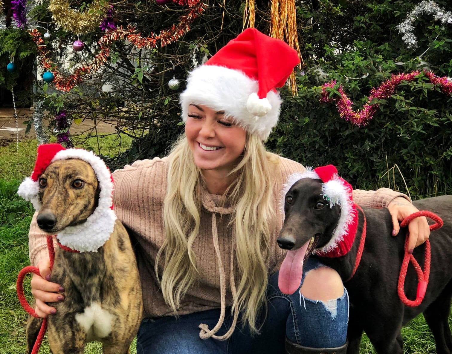 GREYHOUND AMBASSADOR BLOG: ANNELIESE THOMPSON - Greyhound Star | News from the Greyhound Industry