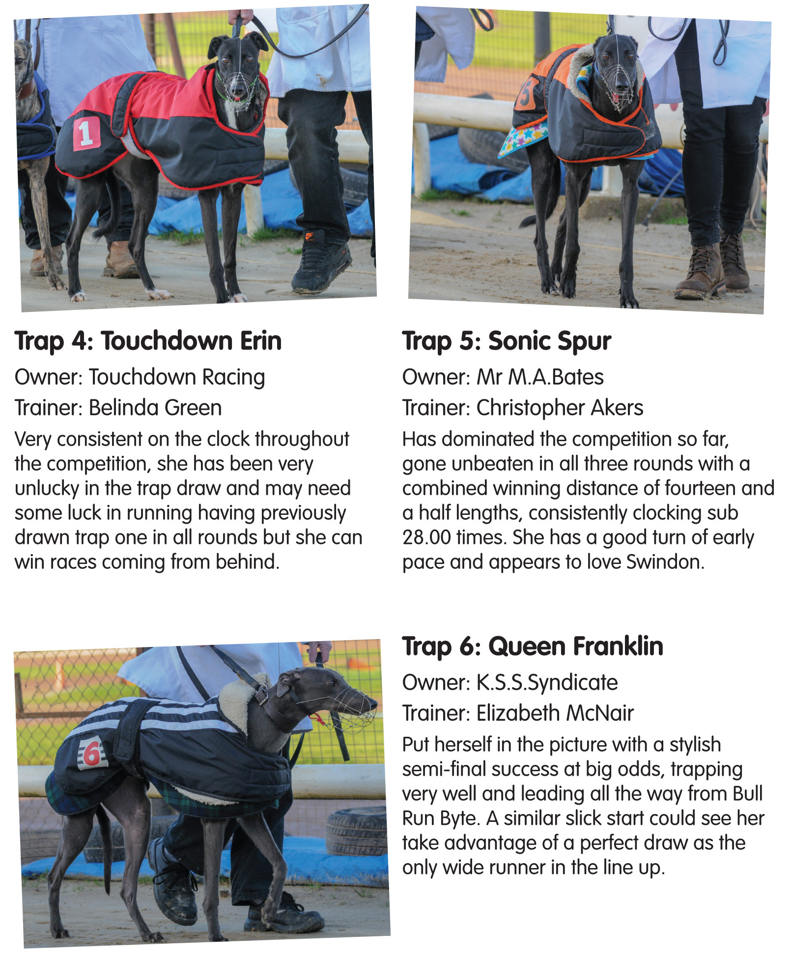 SWINDON SOLID OAKS OPINIONS - PREVIEW - Greyhound Star | News from the ...