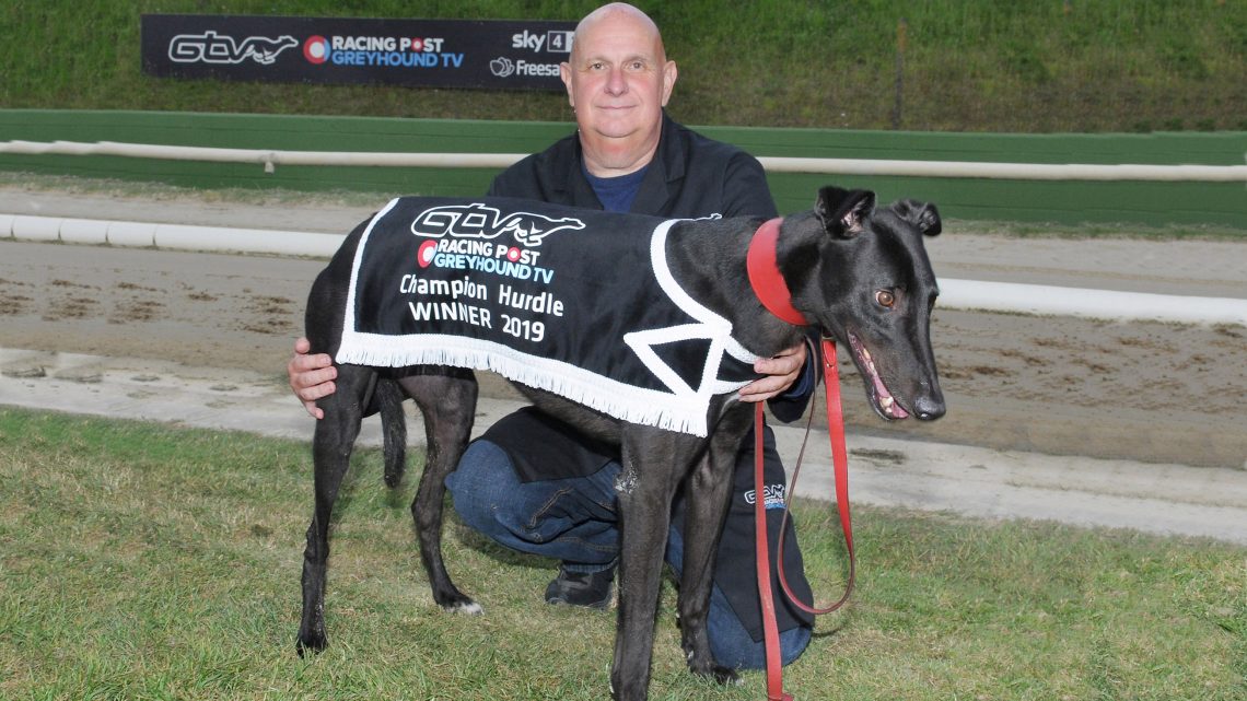 TURNAROUND JET - Greyhound Star | News from the Greyhound Industry