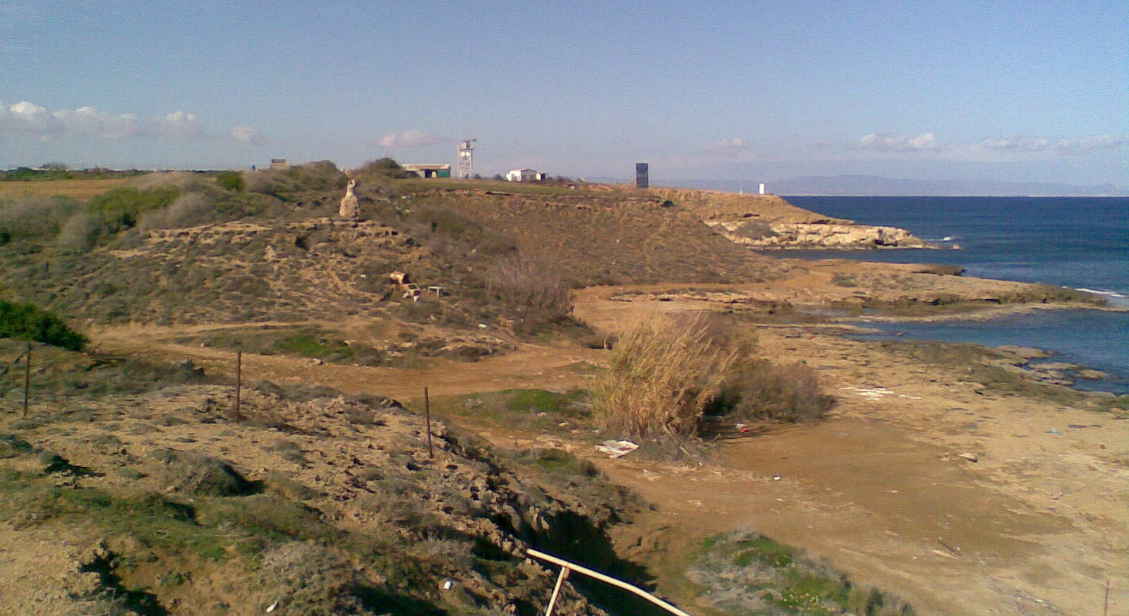 SAVVA - CHAPTER THREE - Greyhound Star | News from the Greyhound Industry