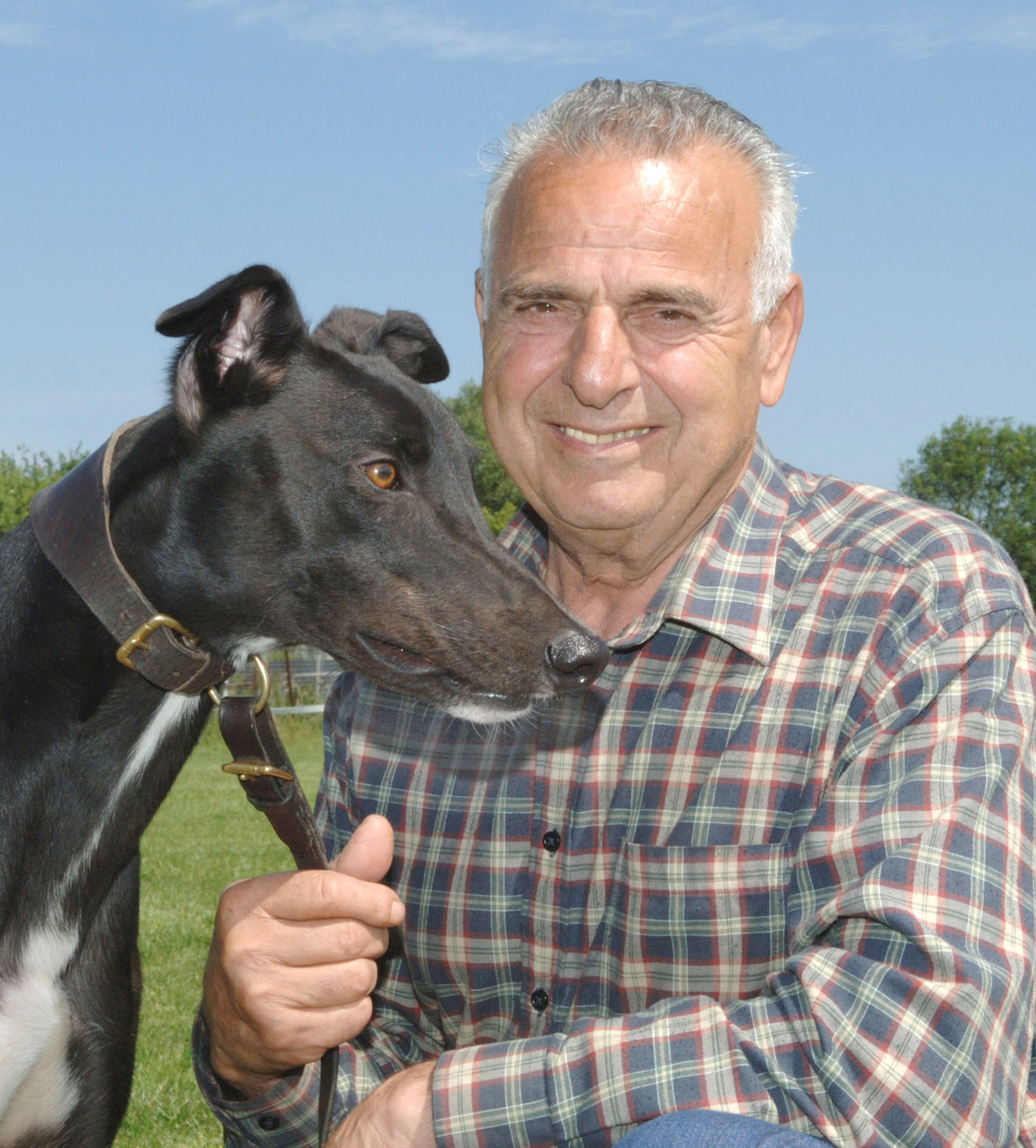 SAVVA - CHAPTER SEVEN - Greyhound Star | News from the Greyhound Industry