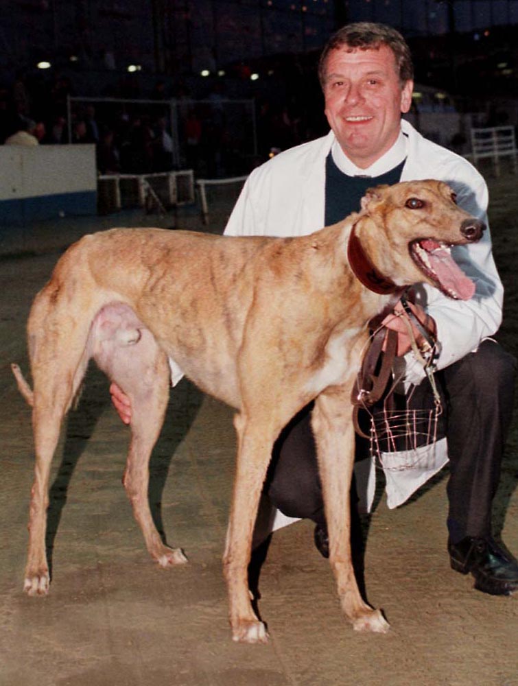 FRIDAY'S PICTURE QUIZ - Greyhound Star | News from the Greyhound Industry