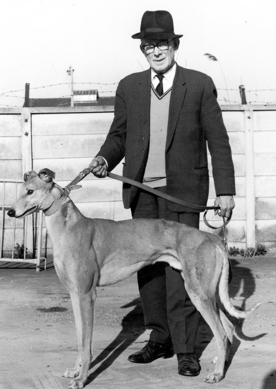MONDAY PICTURE QUIZ - Greyhound Star | News from the Greyhound Industry