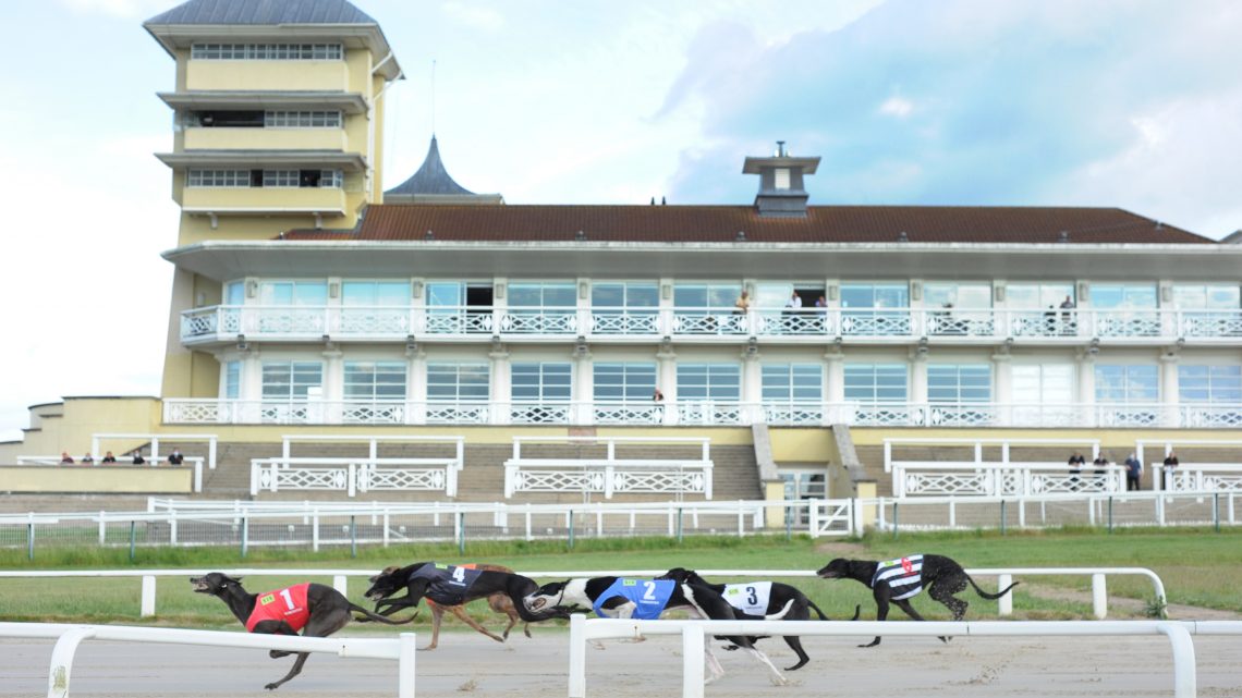 RACE, BUSINESS AND POLITICAL AMBITIONS OF BOOTHBY - Greyhound Star ...