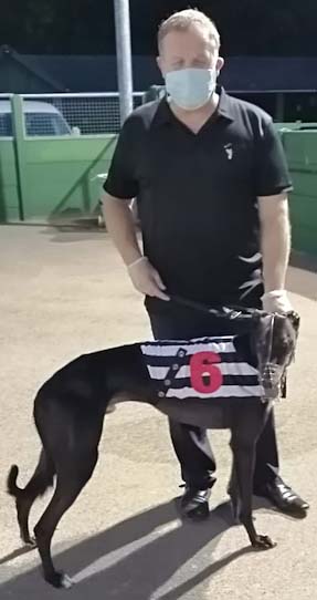 MARK PIERREPONT DERBY DIARY RACES/TRIALS- MONDAY - Greyhound Star ...