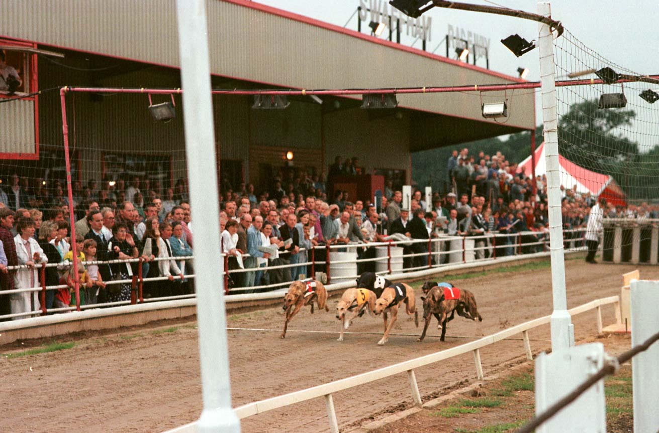 Optimistic local website talks up Swaffham opening - Greyhound Star ...