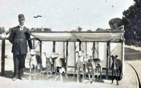 PLEASE MISTER - the Golden Age of Greyhound Racing - Greyhound Star ...