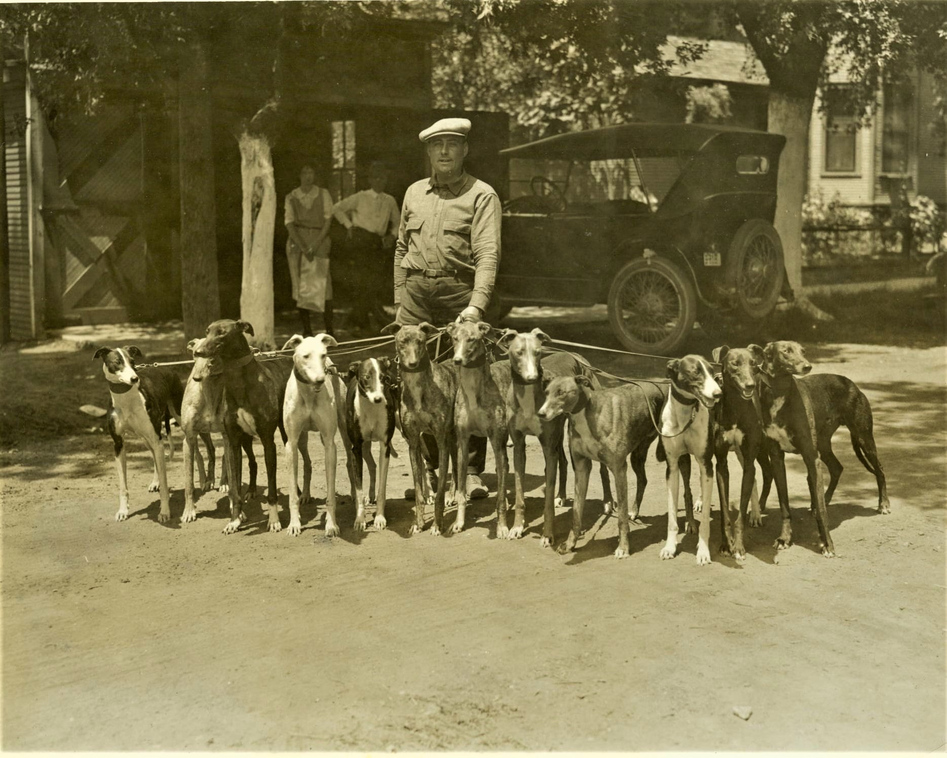 PLEASE MISTER - the Golden Age of Greyhound Racing - Greyhound Star ...