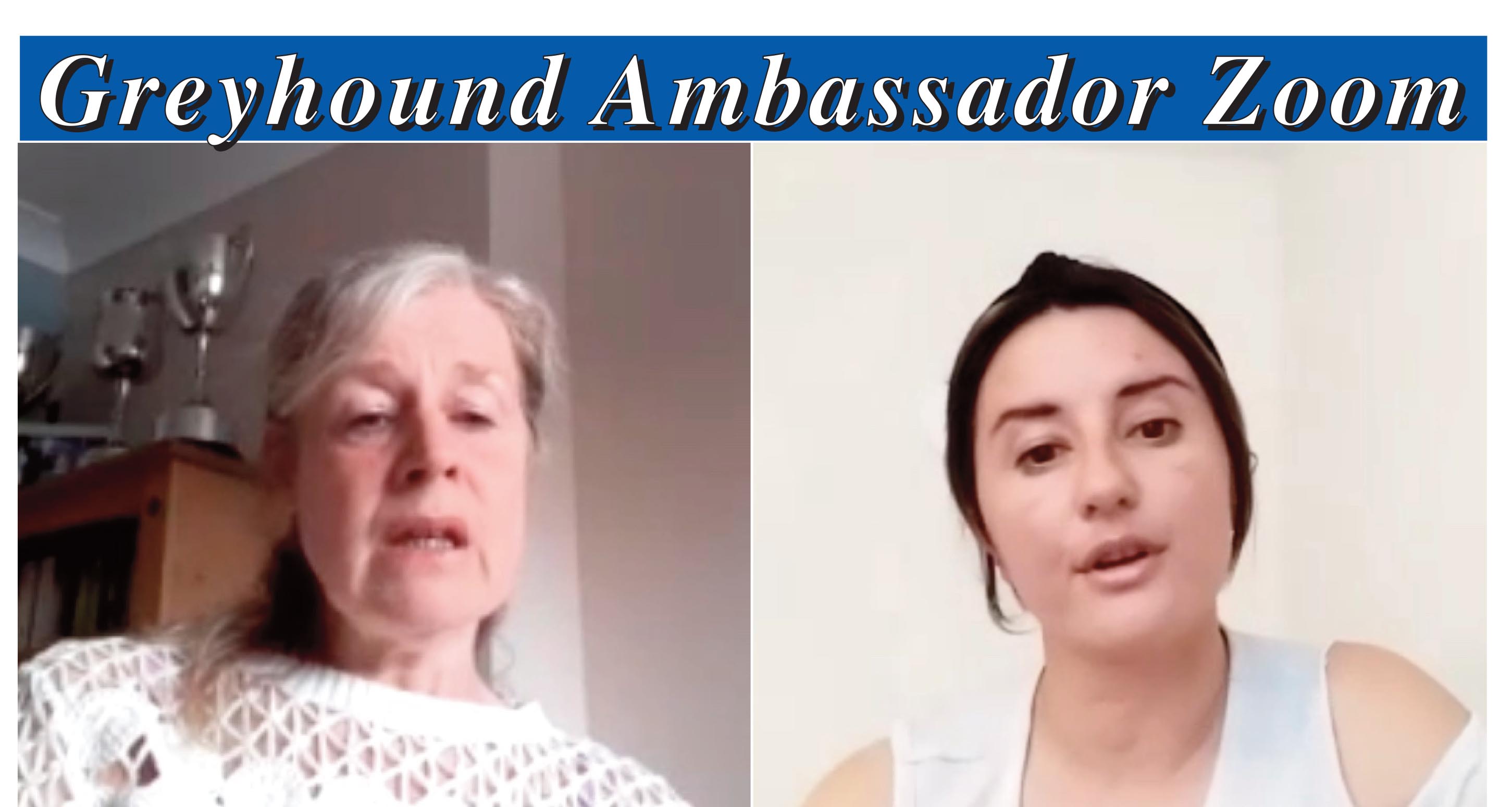 - Greyhound Star | News from the Greyhound Industry