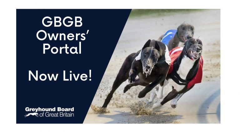 GBGB Launches New Owners’ Portal - Greyhound Star | News from the ...