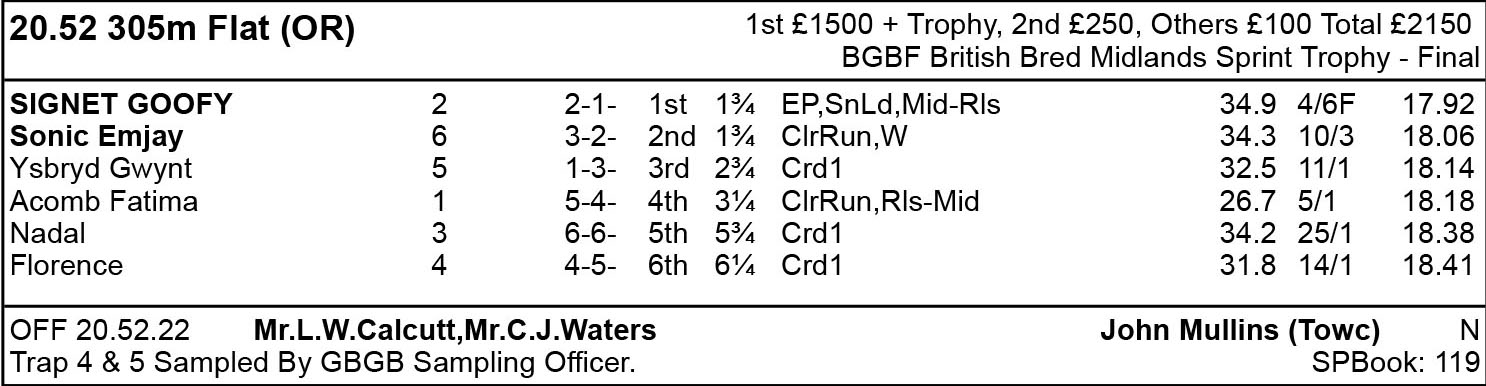 SUCCESS FOR OTIS AND GOOFY, BUT DON'T FORGET ARCHIE! - Greyhound Star ...