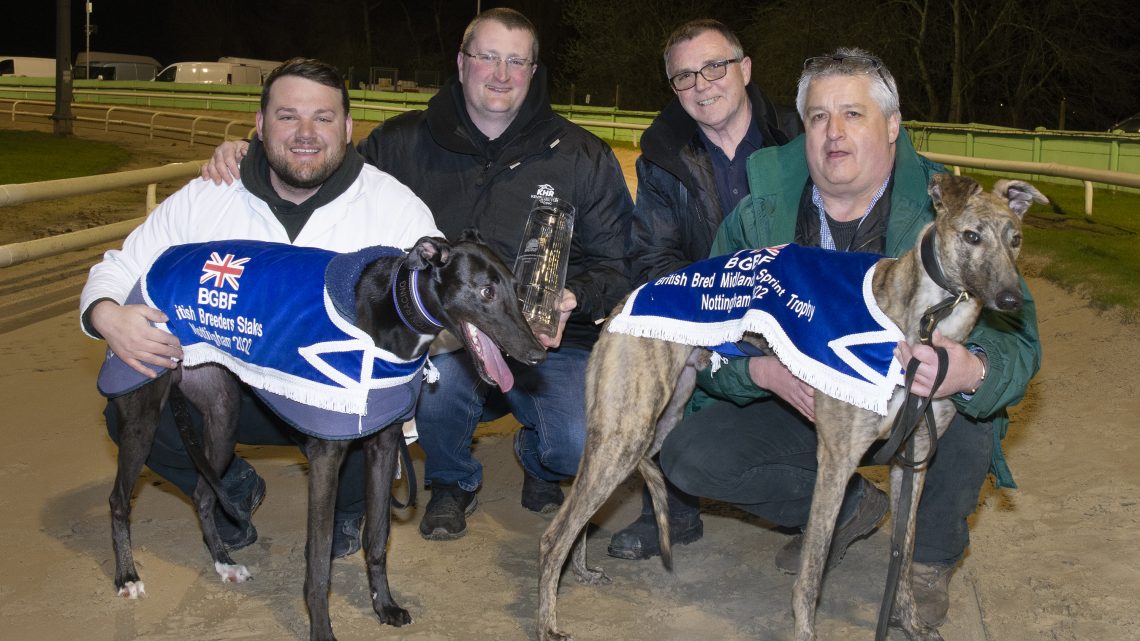 BREEDING GROUND: THE PRODUCE STAKES - Greyhound Star | News from the ...