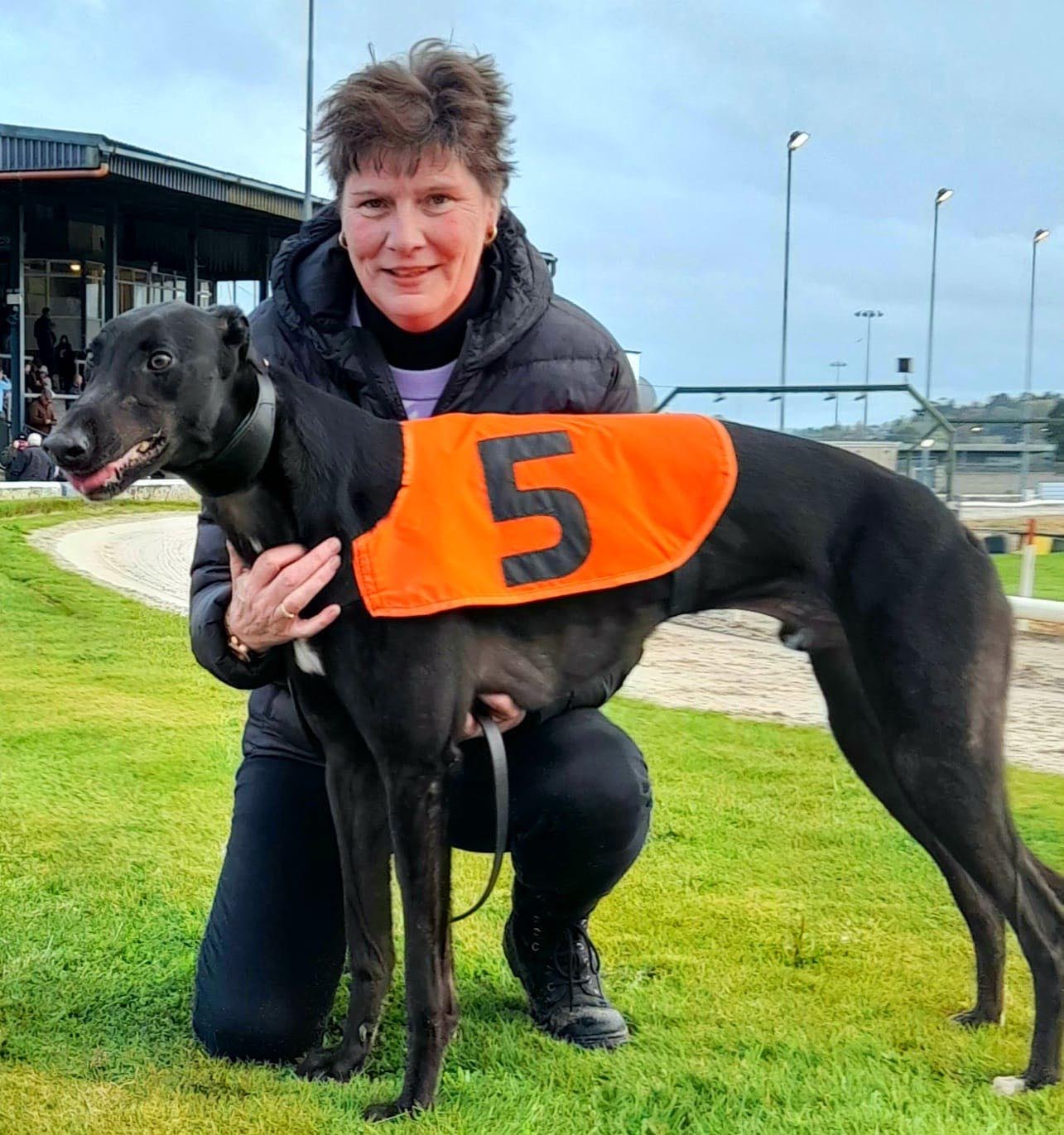 CONCORDE SETS RECORD - Greyhound Star | News from the Greyhound Industry
