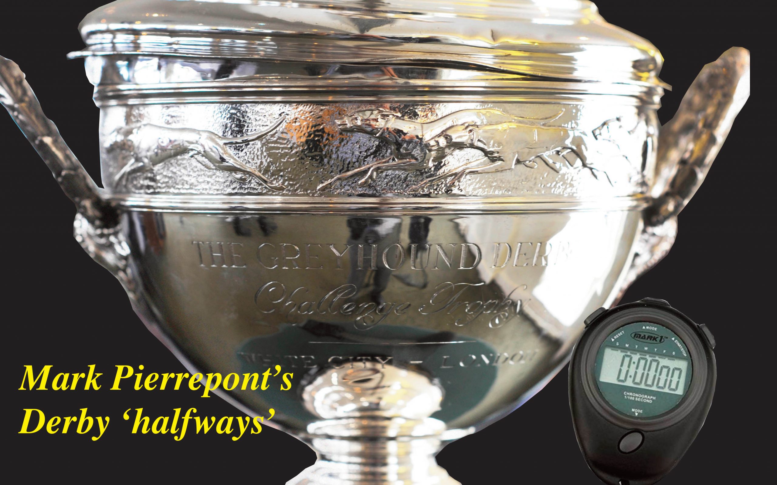 THE FINAL LINE-UP - Greyhound Star | News from the Greyhound Industry