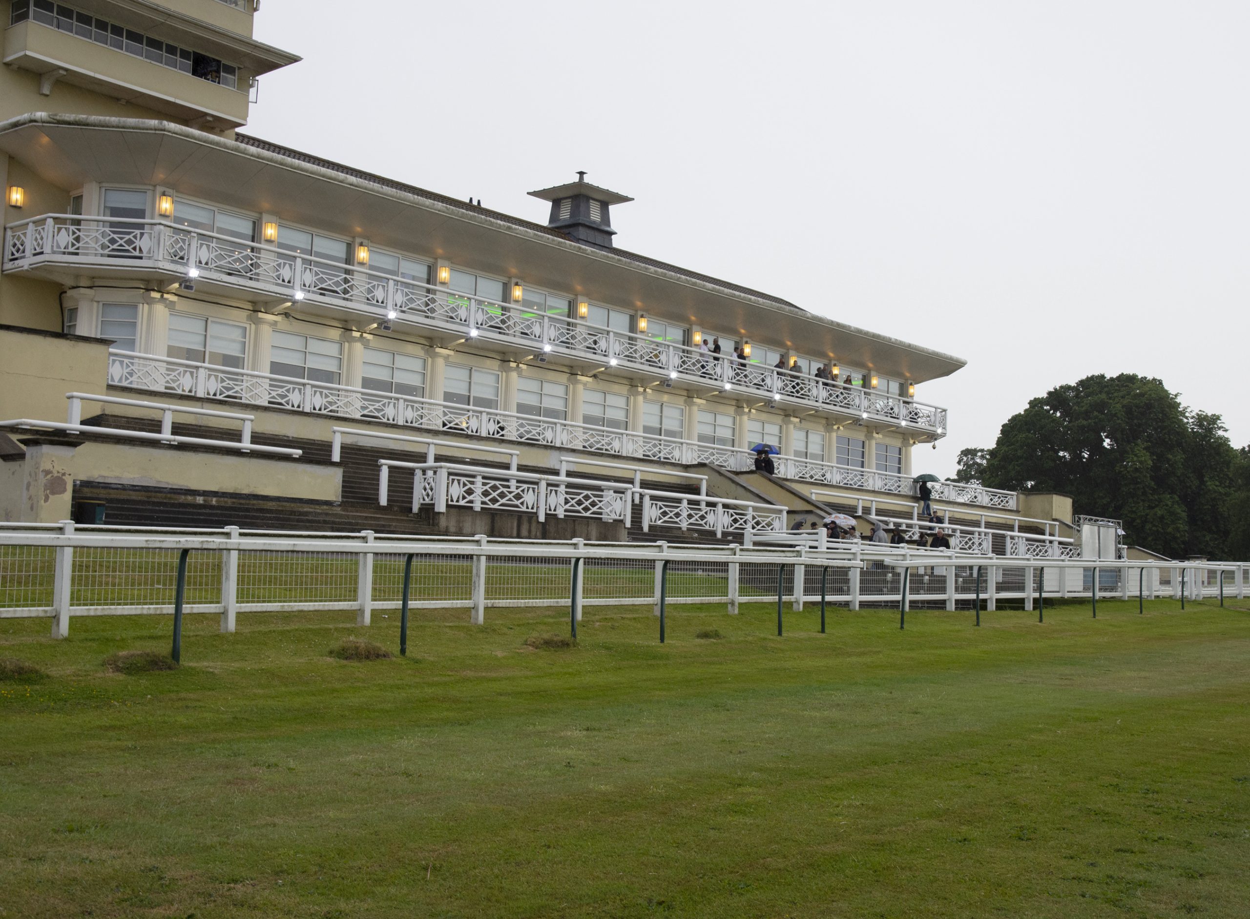TOWCESTER GRILLED - Greyhound Star | News from the Greyhound Industry