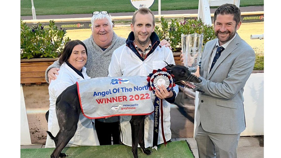 Latest Greyhound News Archives - Greyhound Star | News from the ...