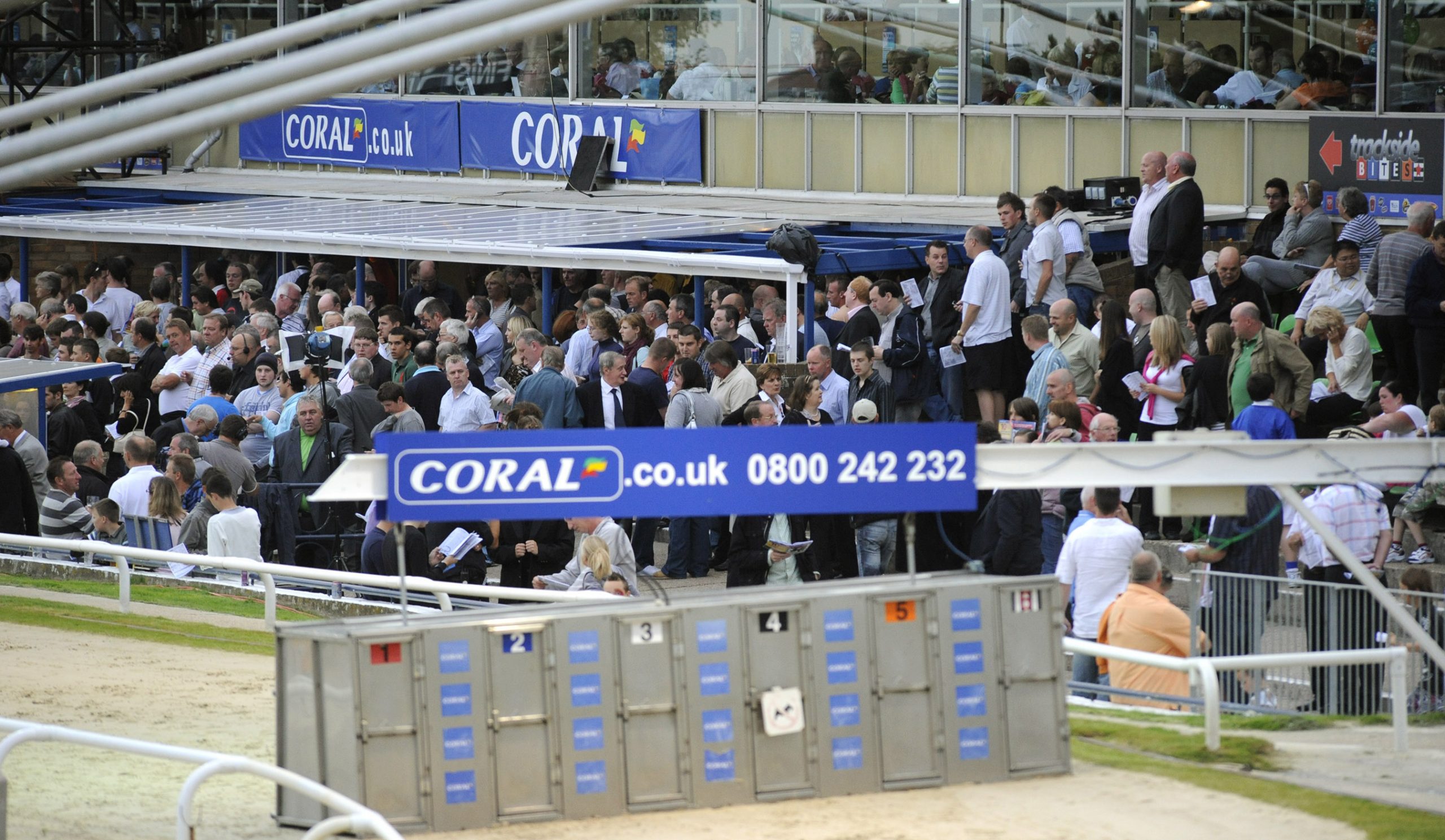 HOVE Super Six Tipster Challenge (with full form) - Greyhound Star ...